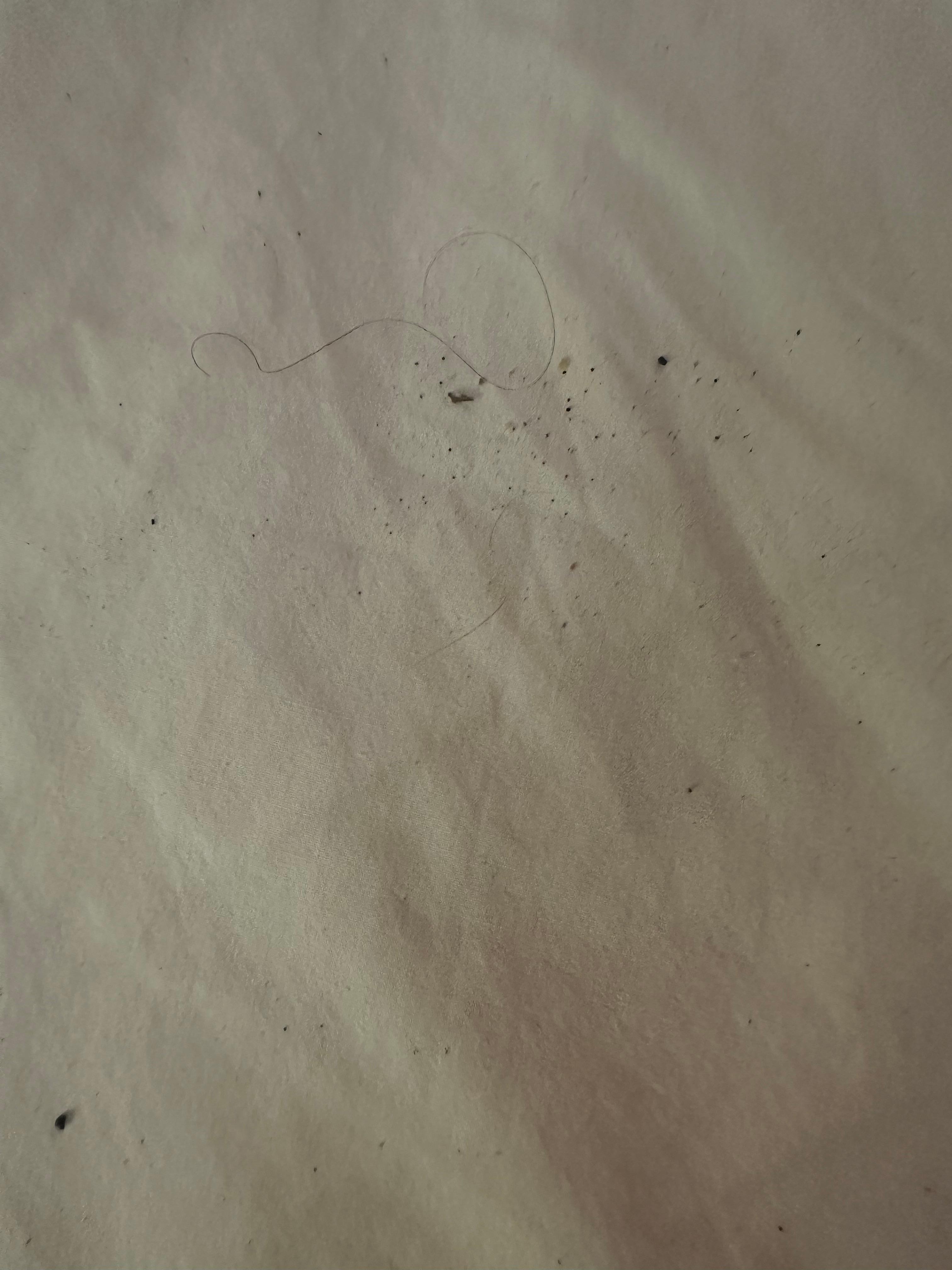 Hair and dirt, stains on bed sheets