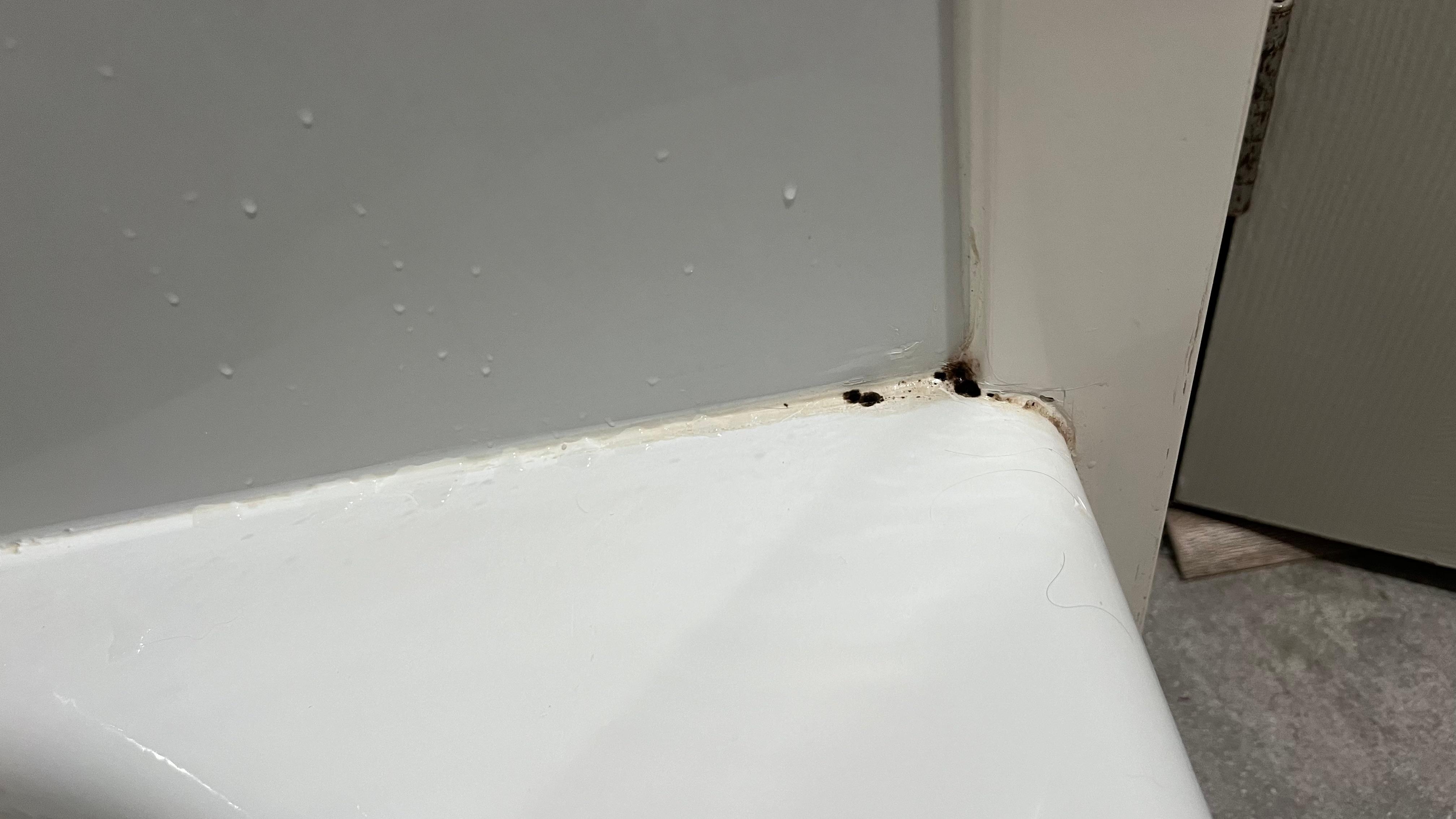 Shower mold near faucet.  The floor sagged in the TV area + when you step out of the shower.  Probably old water damage that was improperly fixed.  