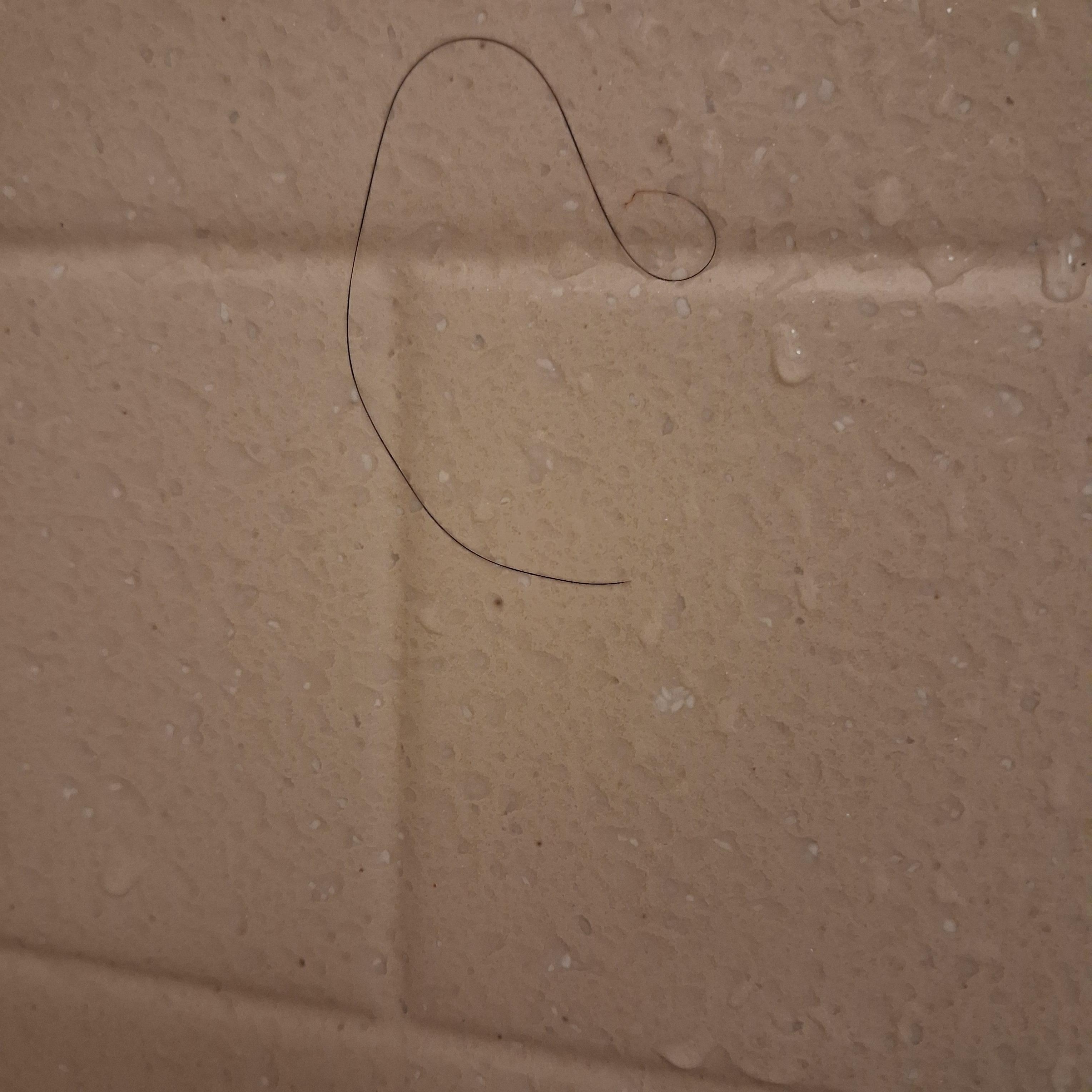 Black hair stuck to shower tiles