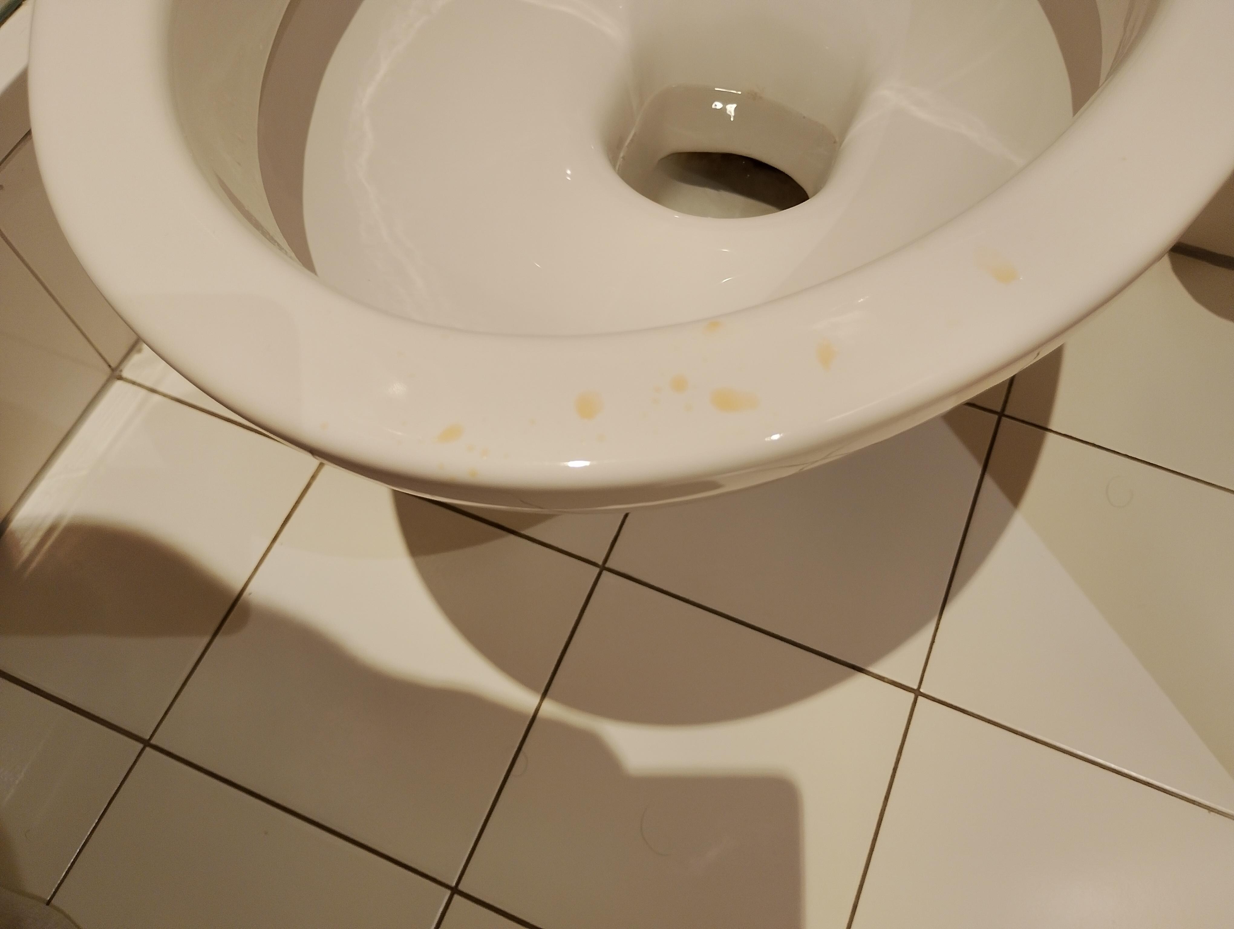 Dirty toilet on check-in. 