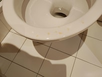 Dirty toilet on check-in.