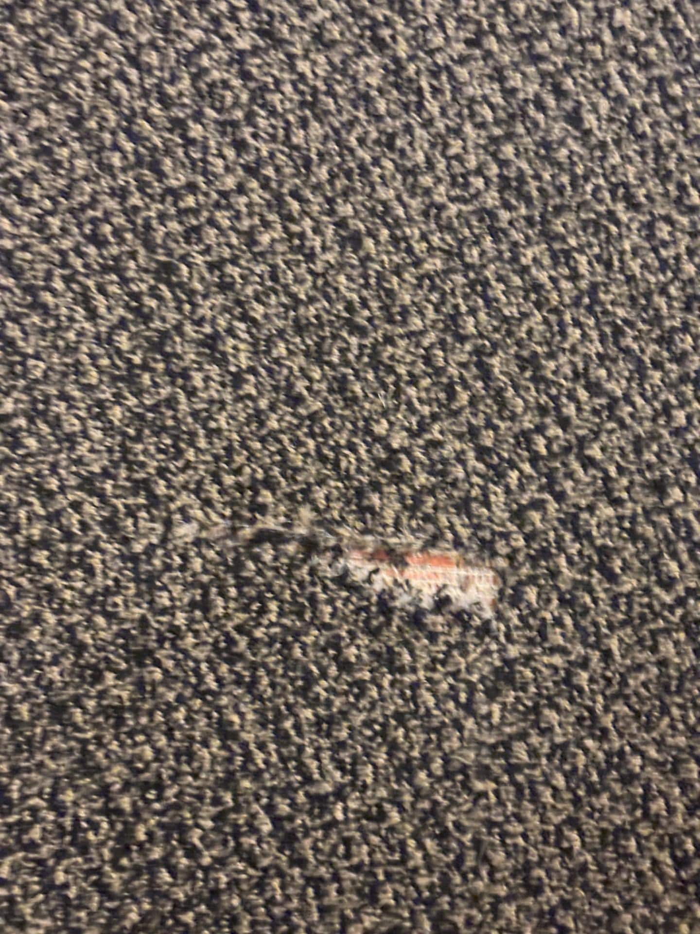 tear in the carpet, noticeable as you walk in the room.