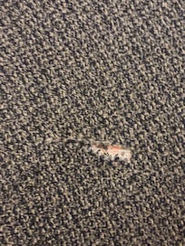 tear in the carpet, noticeable as you walk in the room.