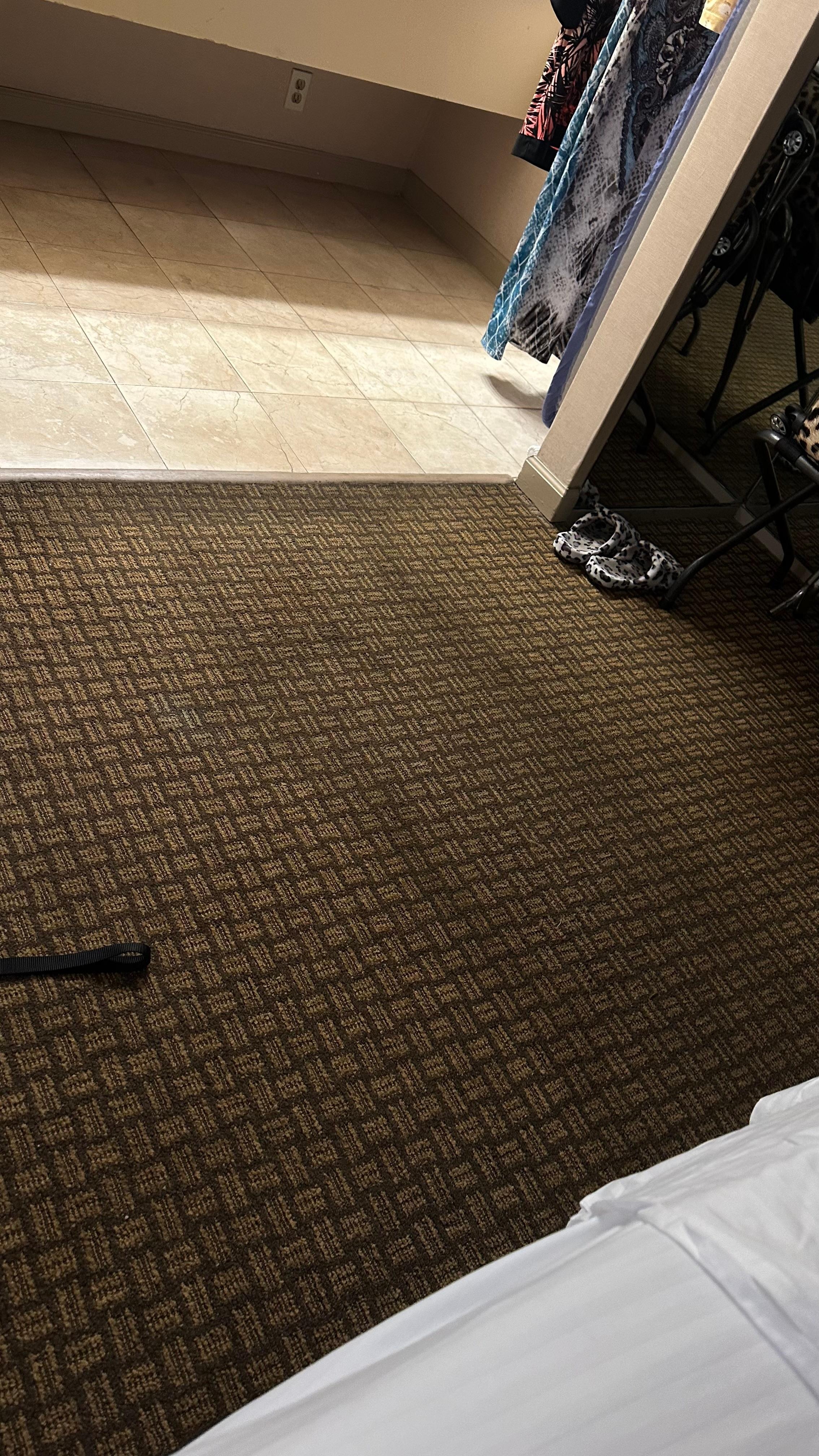 Dirty old carpet. 