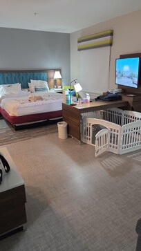 Spacious king bedroom area with desk and multiple drawers to stow away clothes and personal items