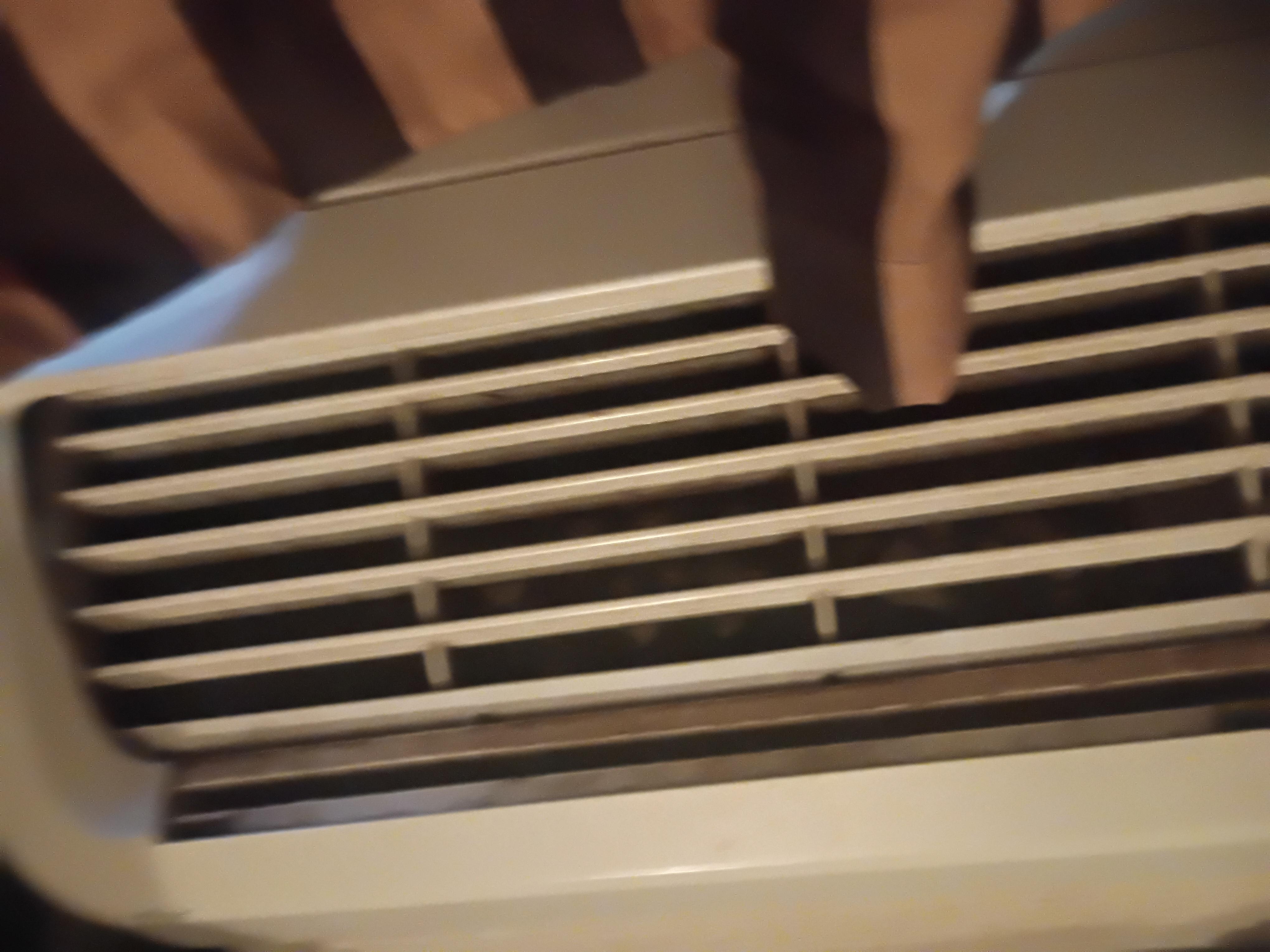 mold in the air conditioner 