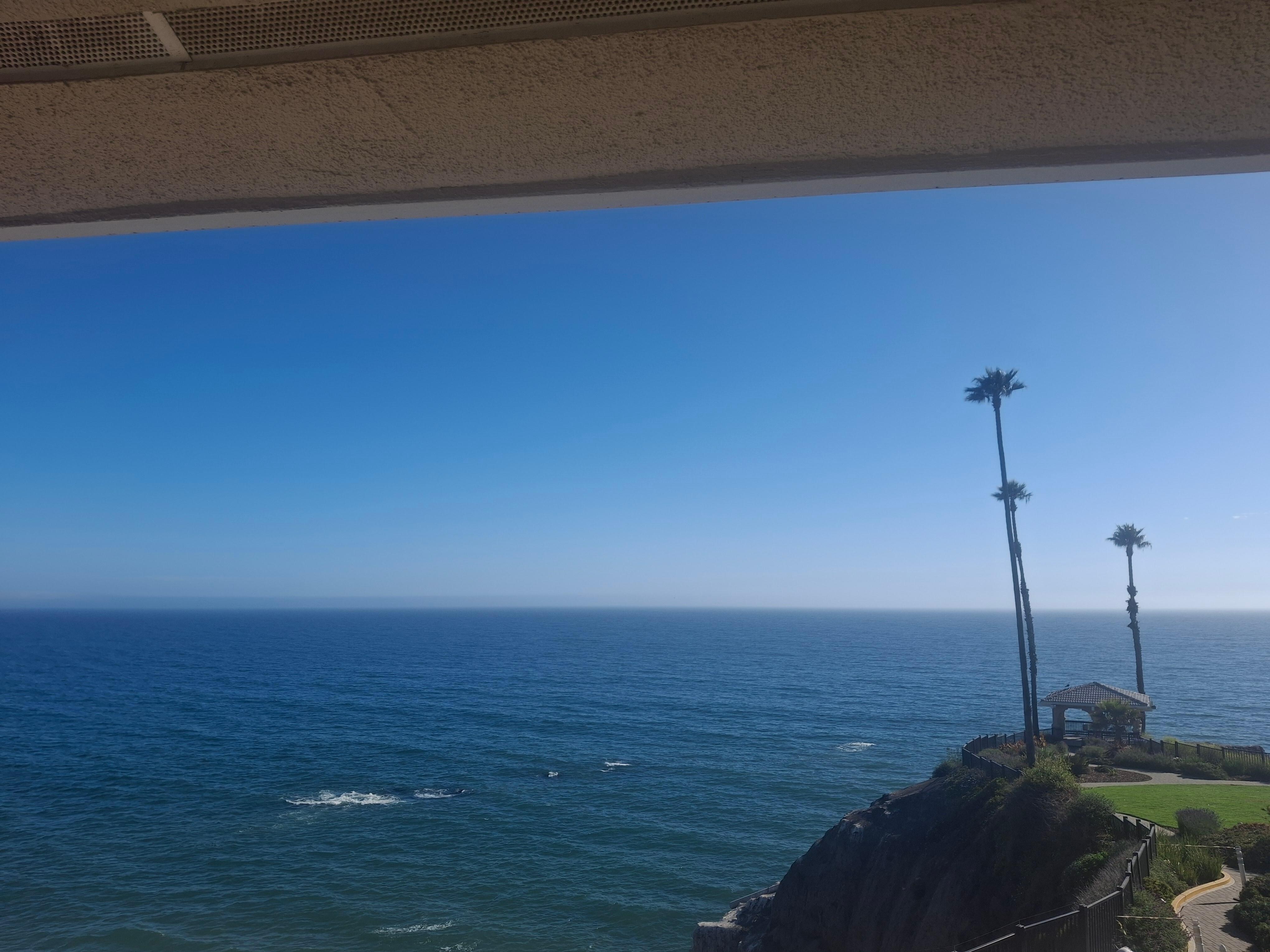 Room view