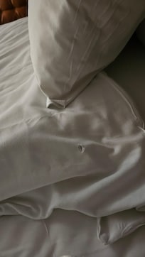 Hole on other bed.