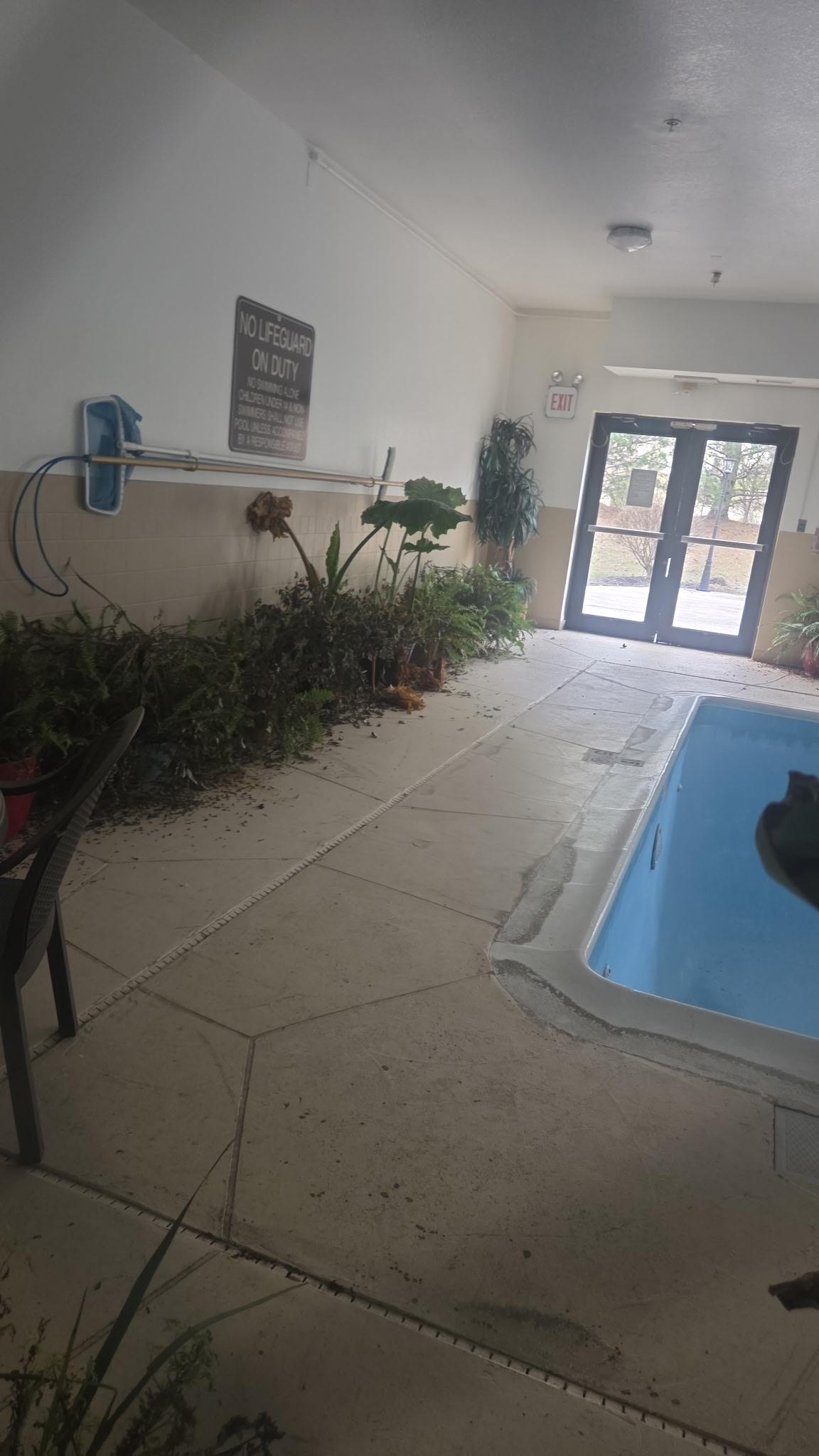 Pool is closed till May,  no water and dying plants. 