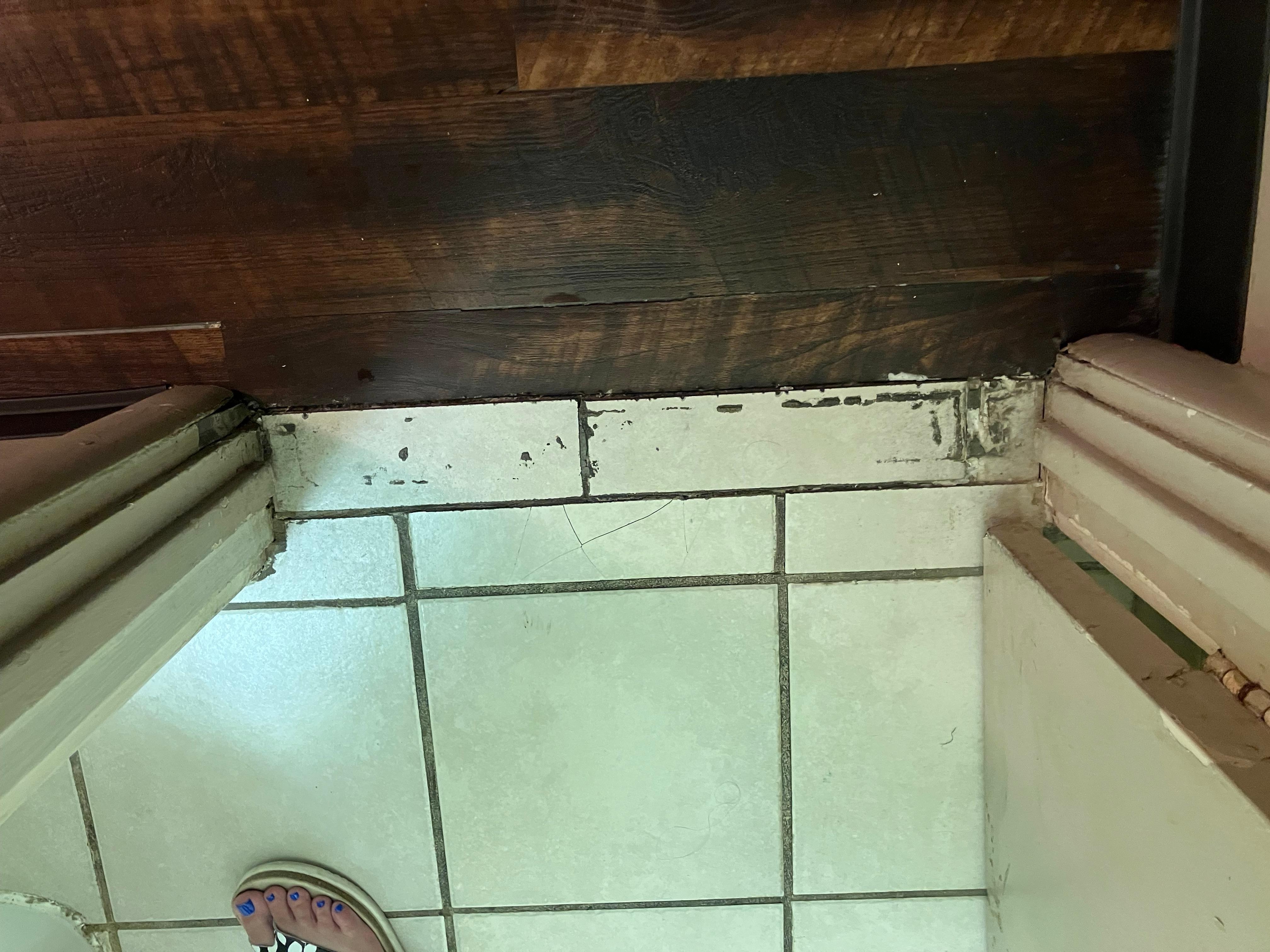 Bathroom threshold