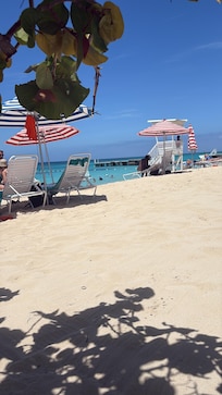 Near by doctors cave beach