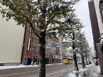 The street outside the hotel. ホテルの外の通り。