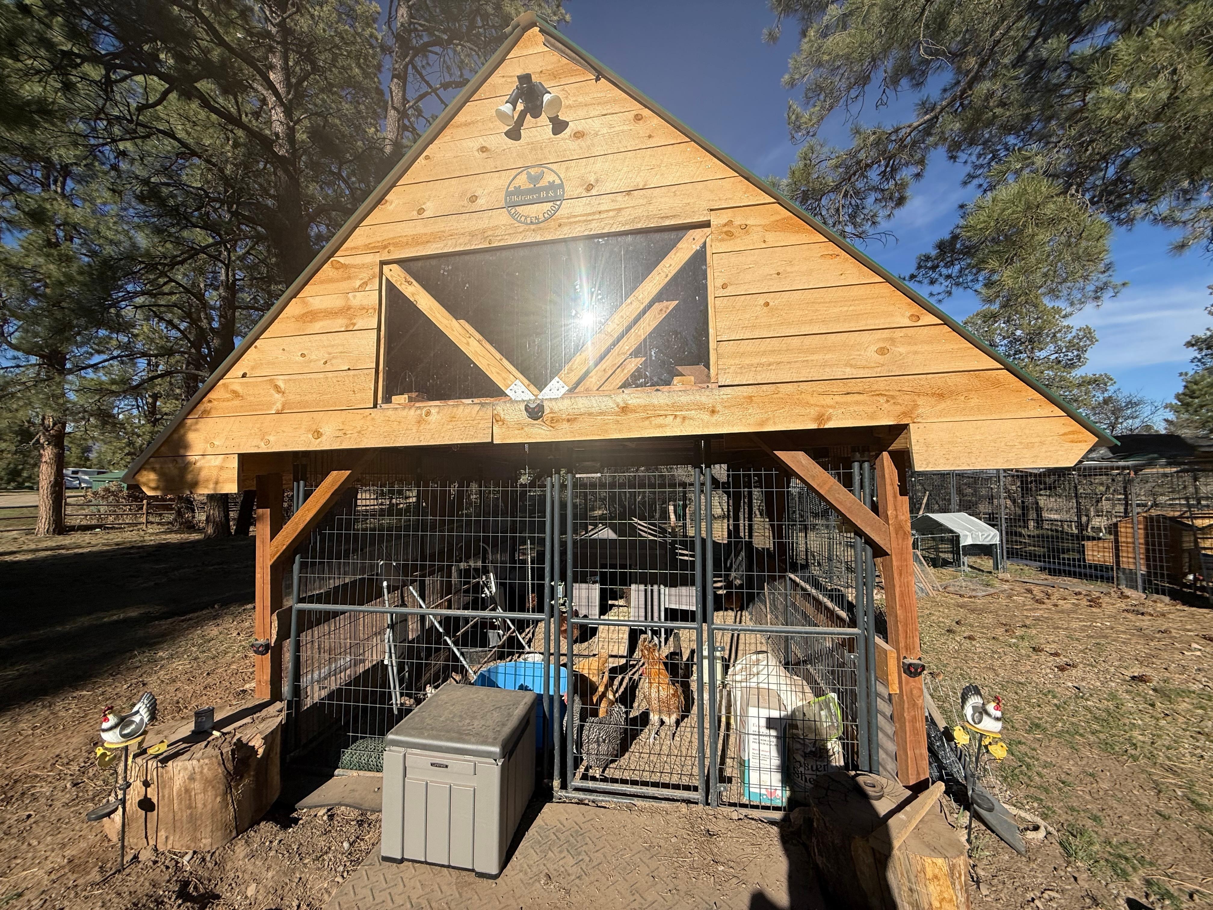 Fresh eggs from the ranch’s chicken coop. 