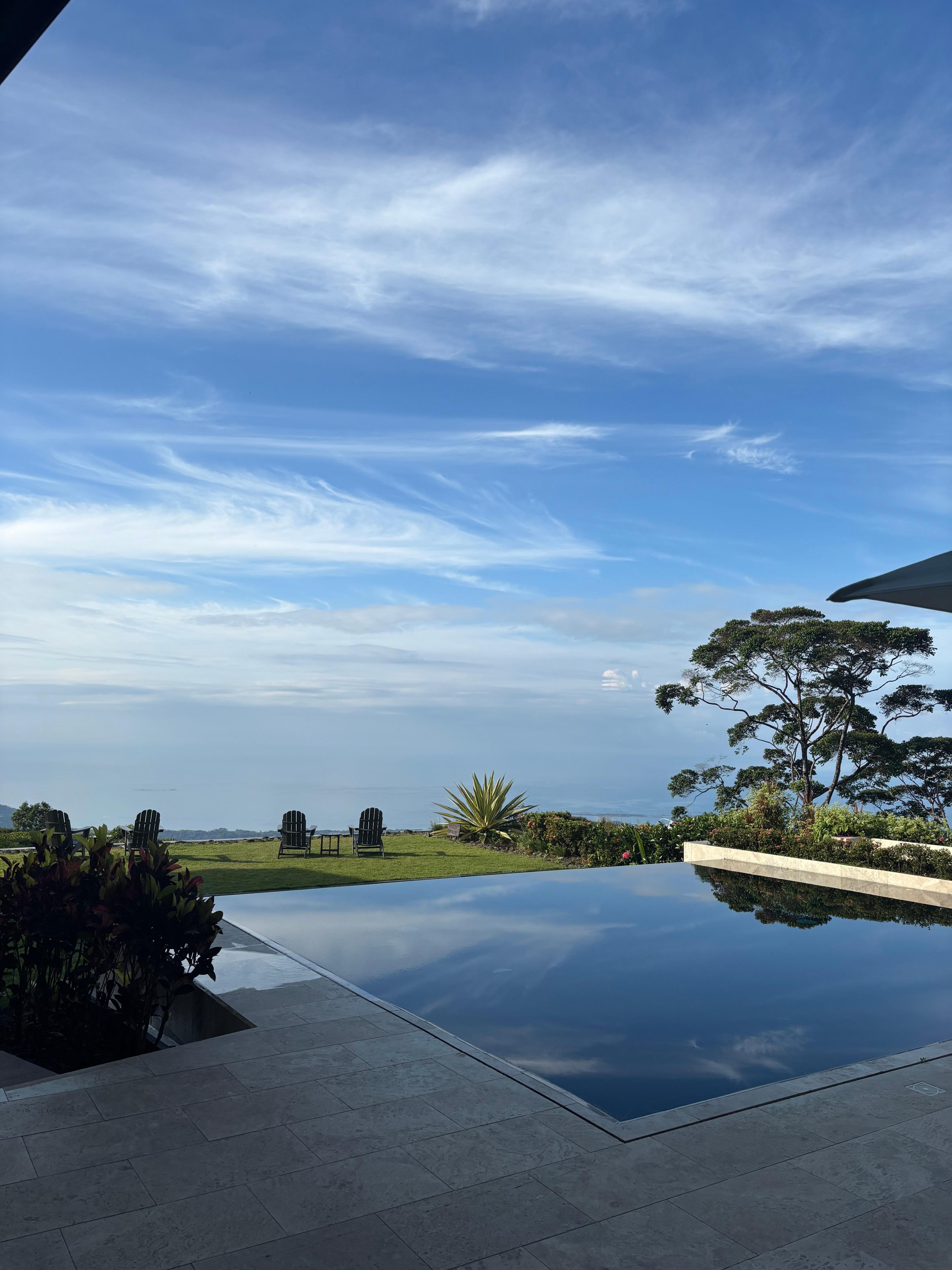 Amazing view to the whales’s tail 