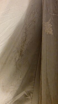 Sous le matelas, et encore, une partie a été enlevée