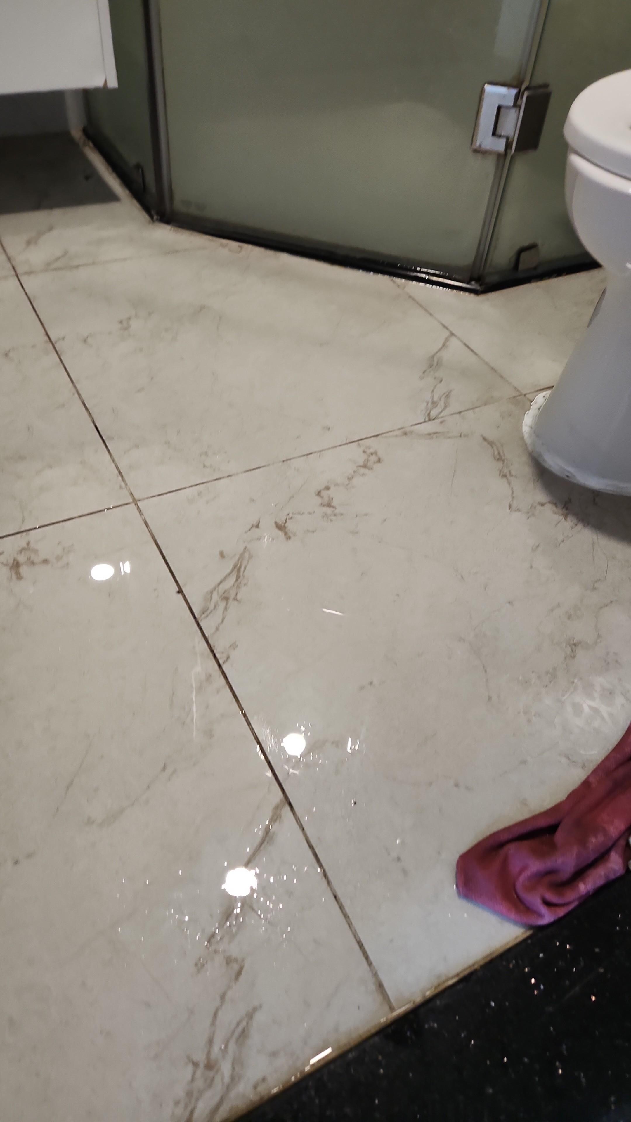 Mildew around showered so it leaked 