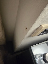 Mocos en las paredes