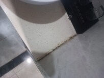 Mold in the sink and around the sink. And dirty