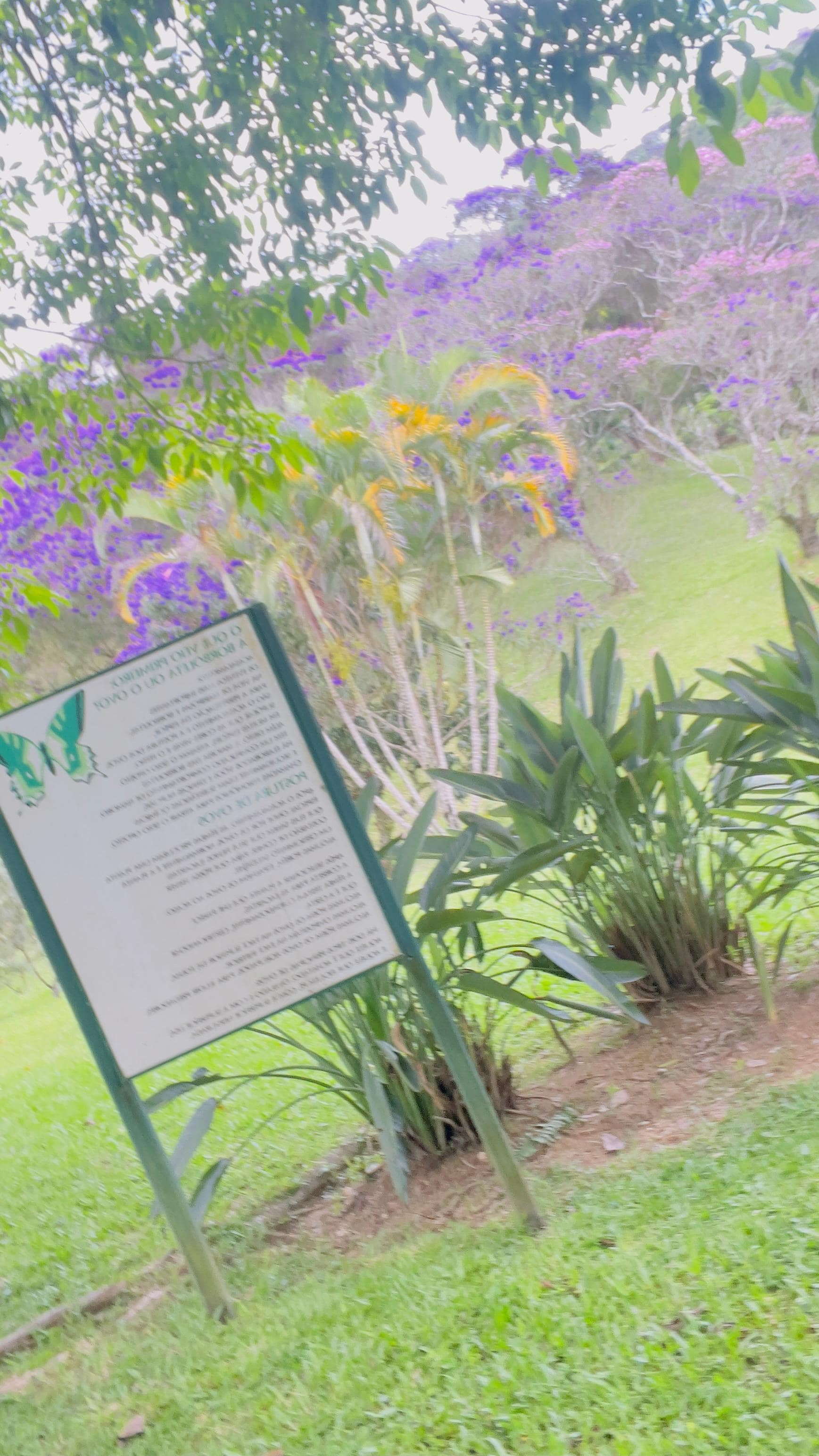 Paisagismo impecável 