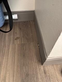 Some sort of debris on the floor.
