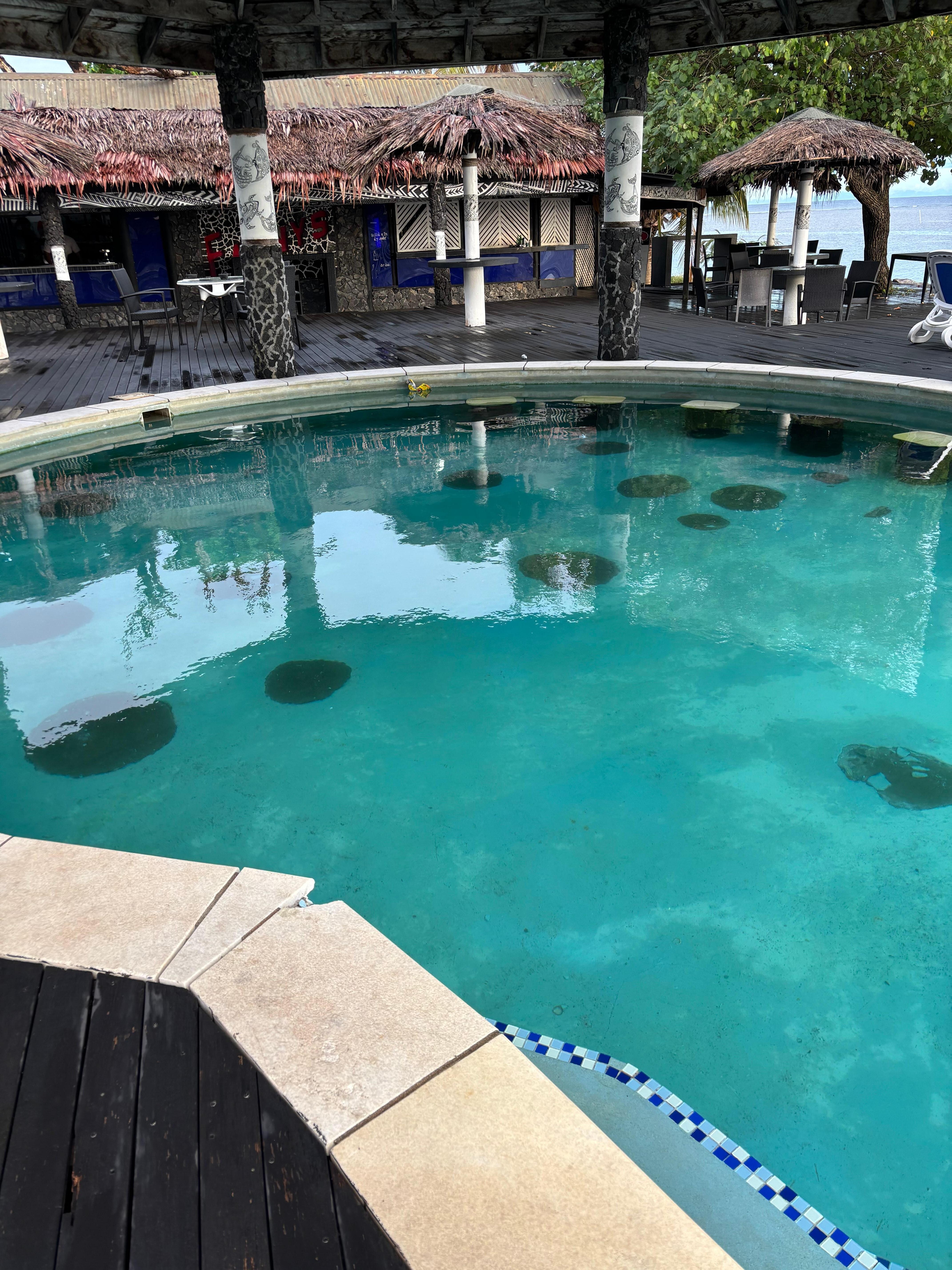 This is what the pool really looks like. And those black things at the bottom is the floor disintegrating. 