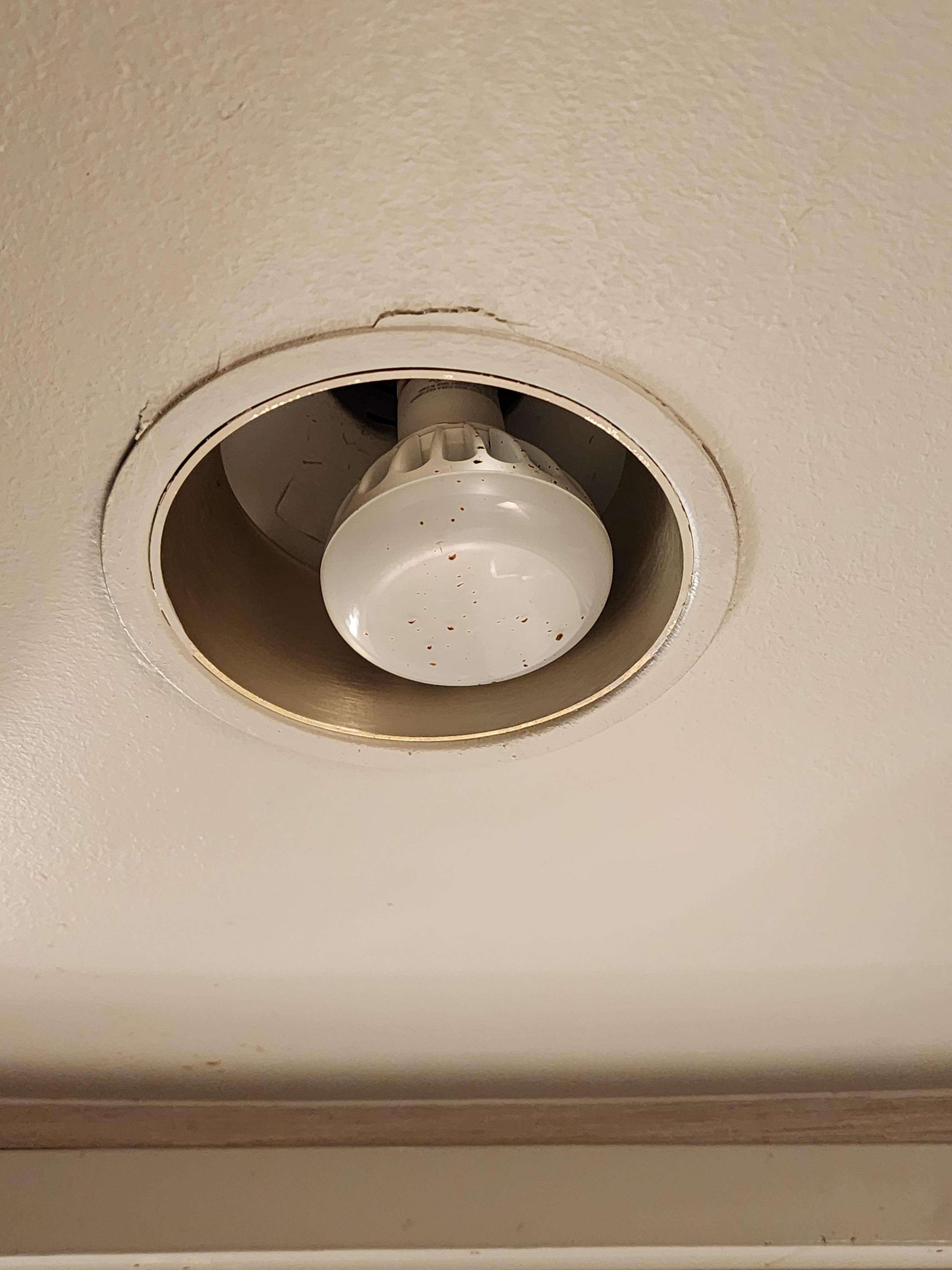 Not sure what is all over this. O.o