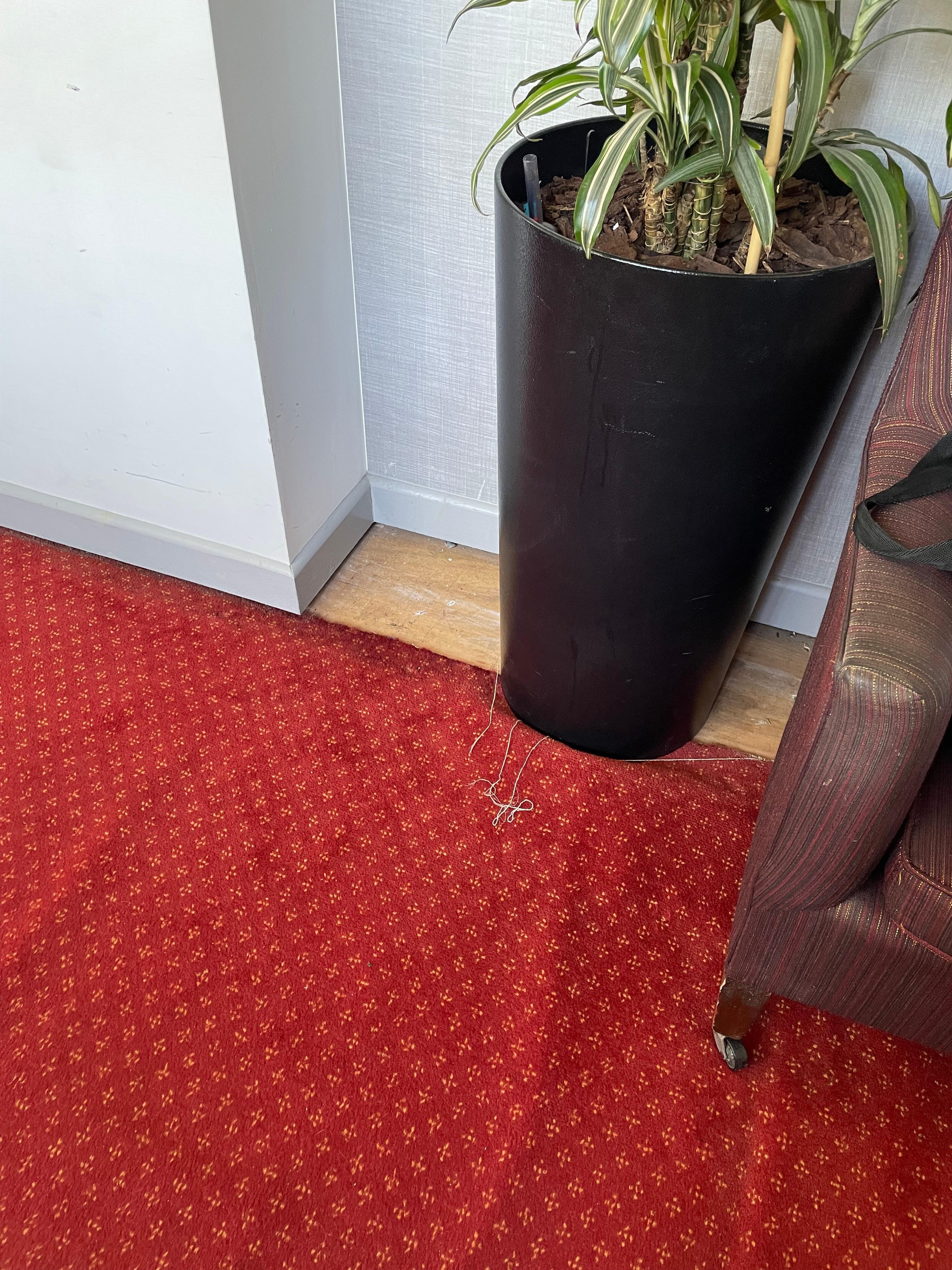 Missing lumpy carpet