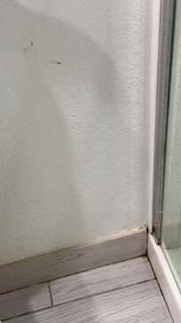 Suciedad en paredes y moho en puertas ducha