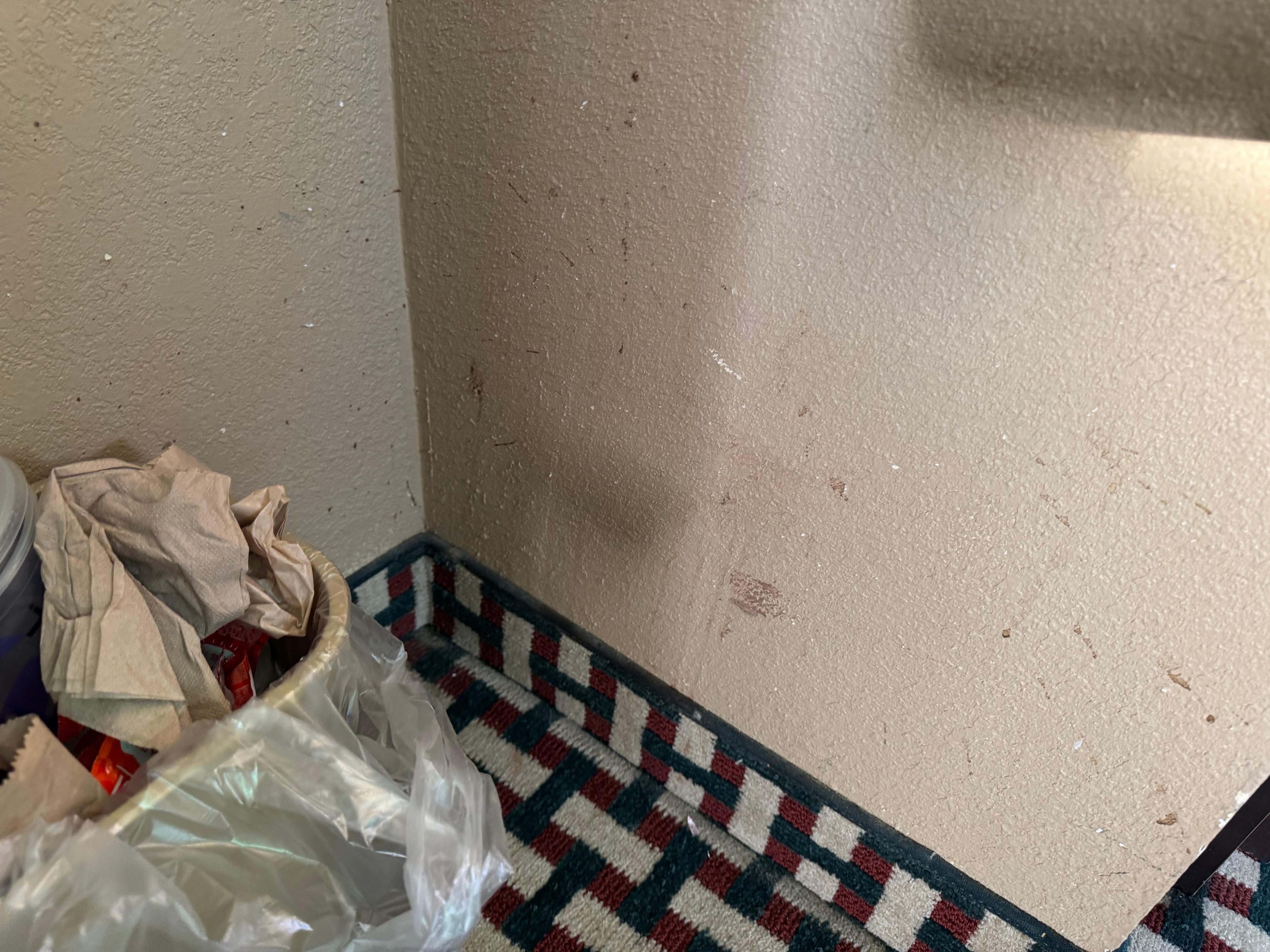 The nasty wall beside the trash can
