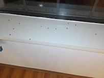 Dead flies all over the room