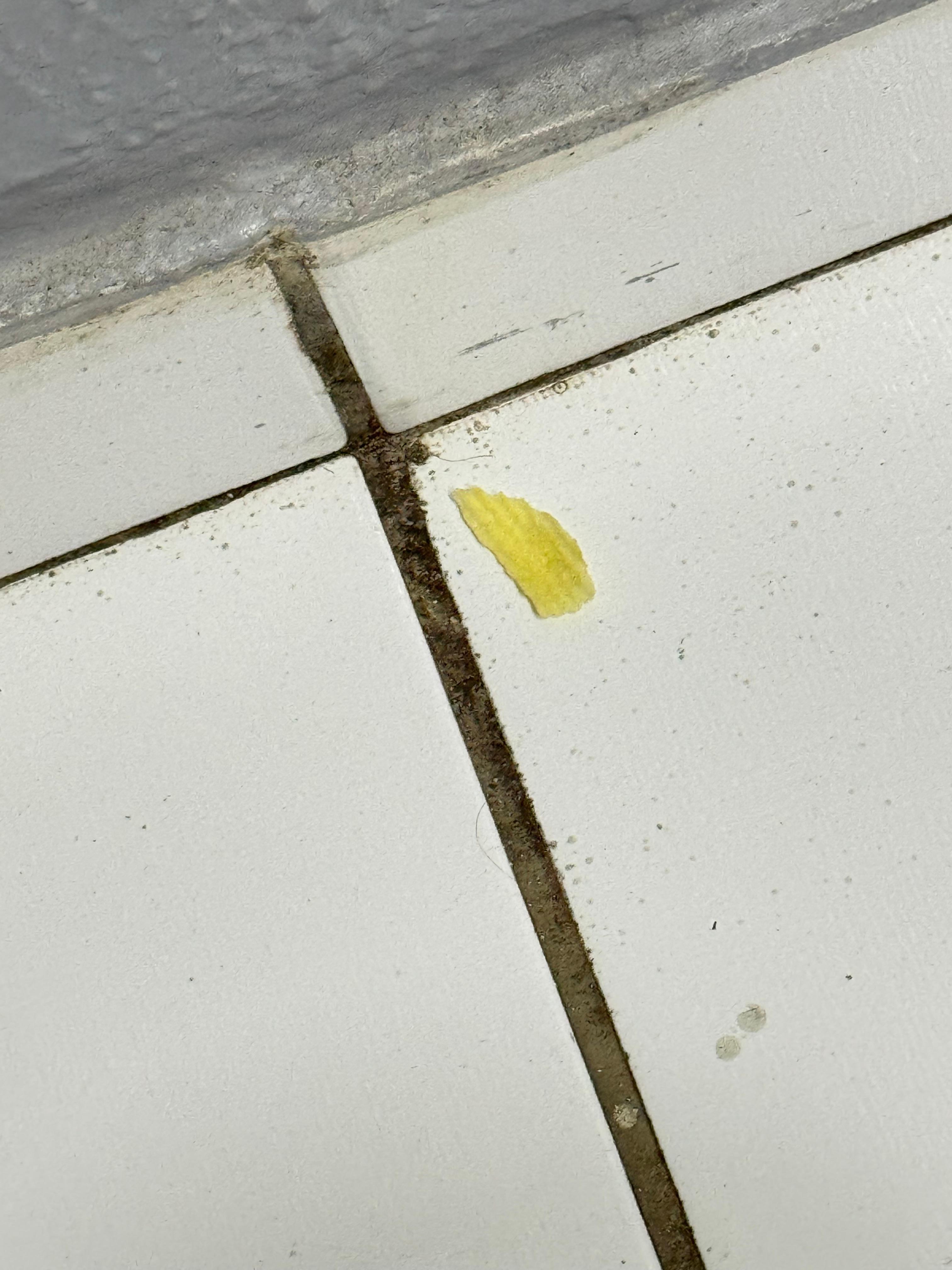 Pedaço de comidas no quarto