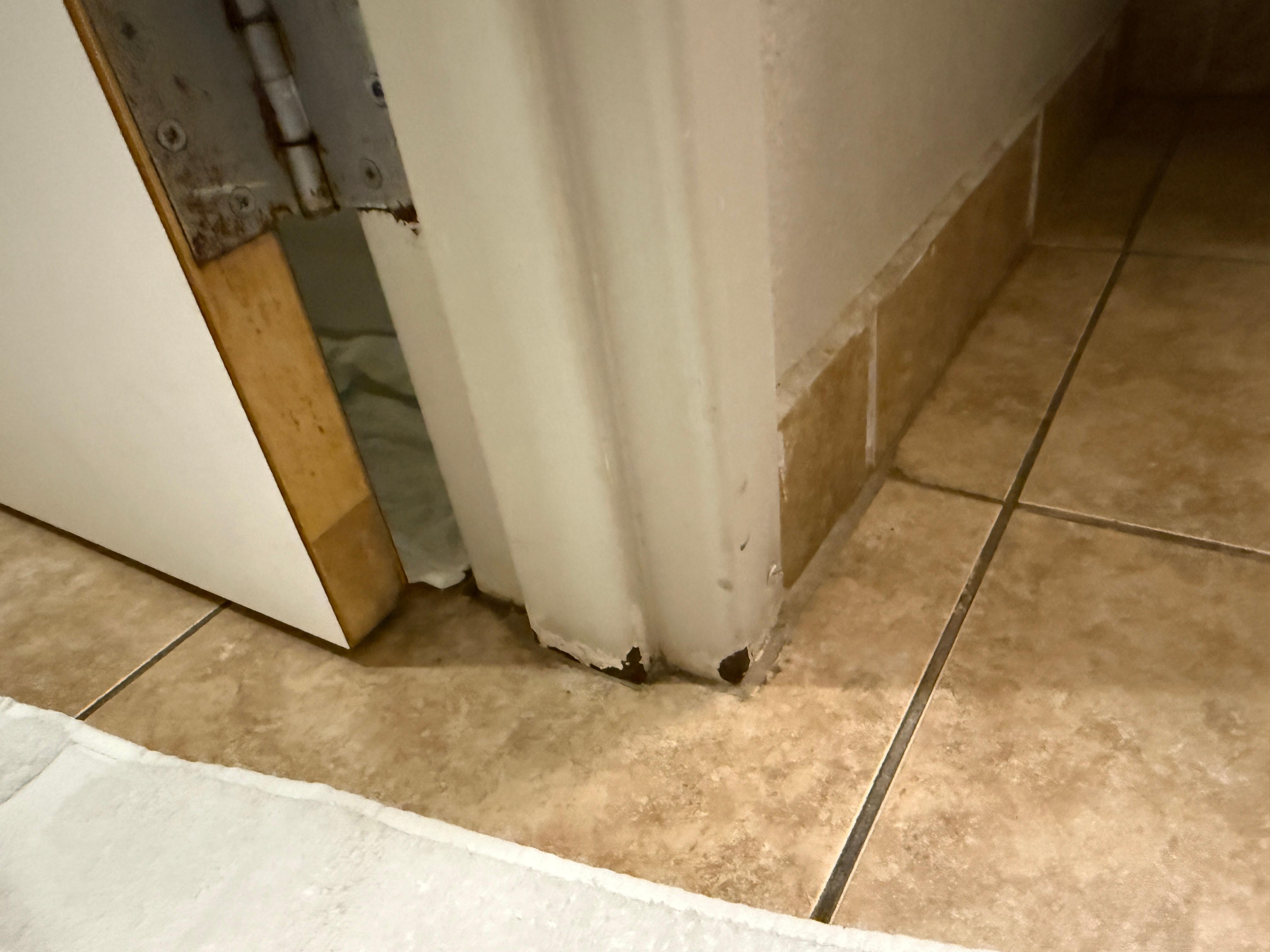 Door frames rusting out on bottom; unrepaired holes in walls from removed hardware; porcelain in tub chipped... everything I would expect from a cheap Super 8 Motel