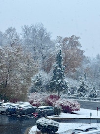 Top floor hallway window!