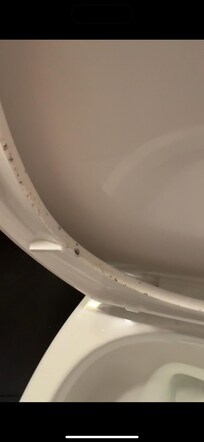 Black grime on the toilet seat which wasnāt even screwed to the toilet