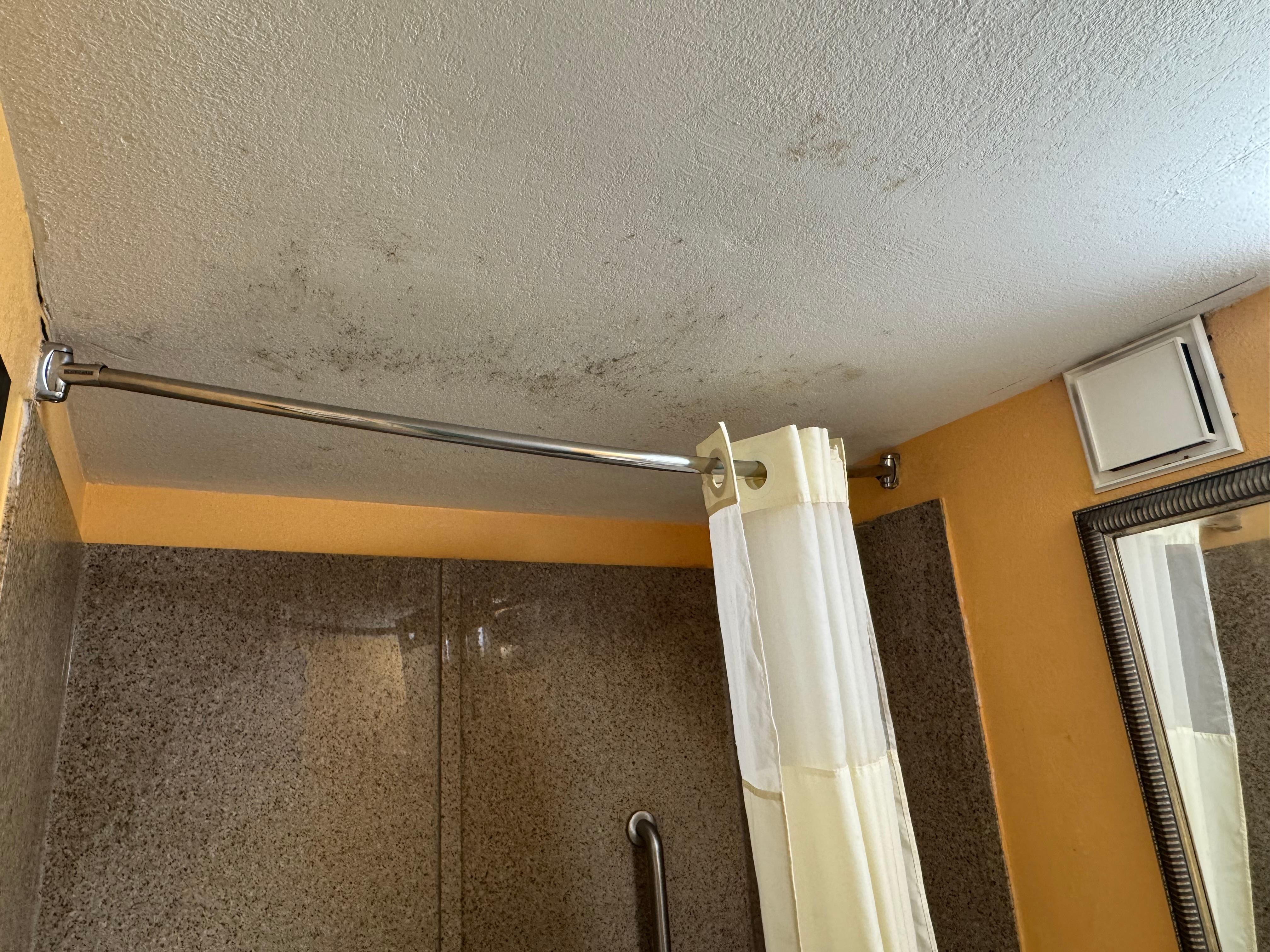 Bathroom ceiling and shower rod