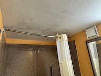 Bathroom ceiling and shower rod