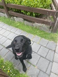 Jack