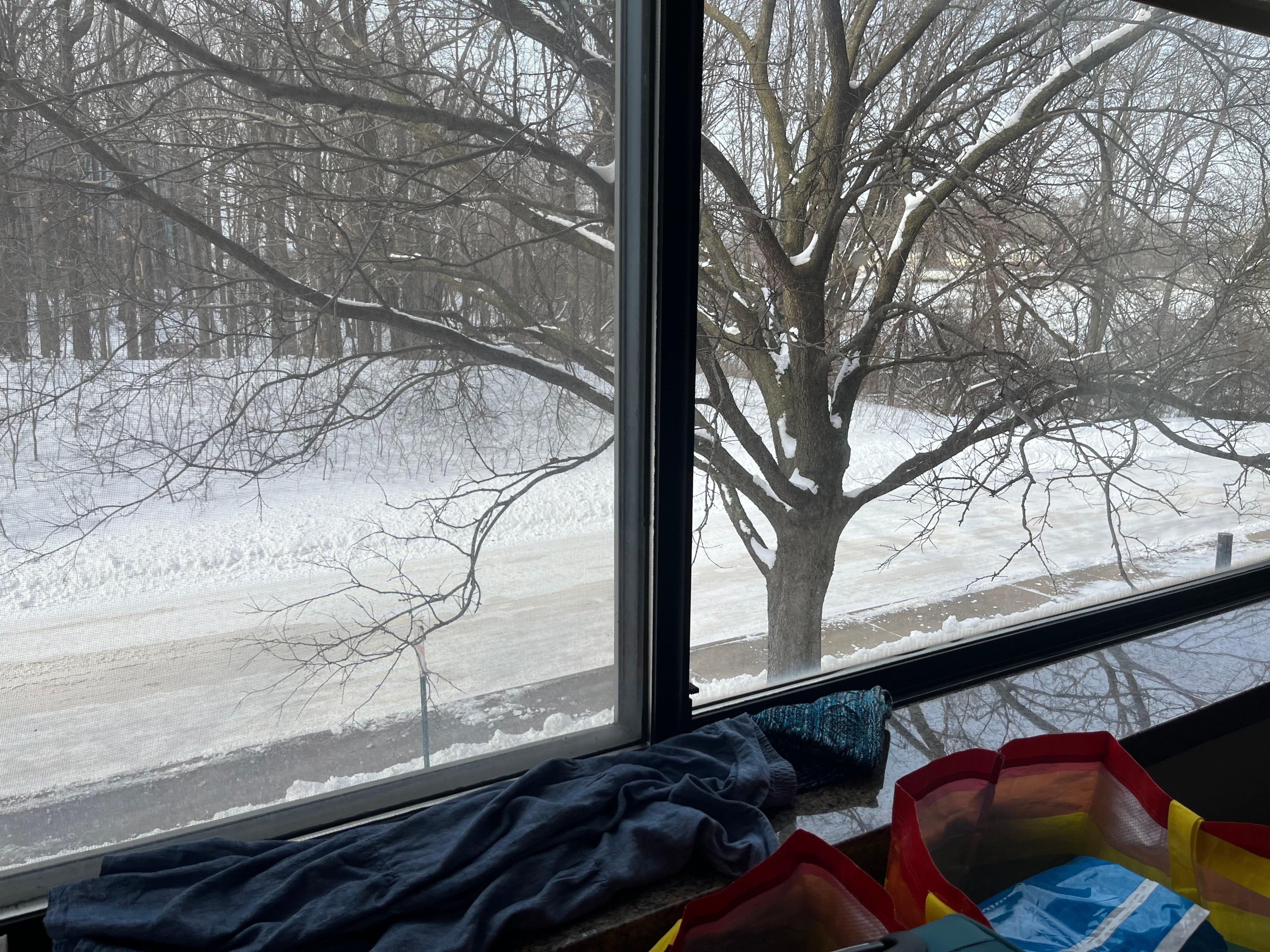 The view from many rooms is of the snowy woods, or Plymouth Creek.
