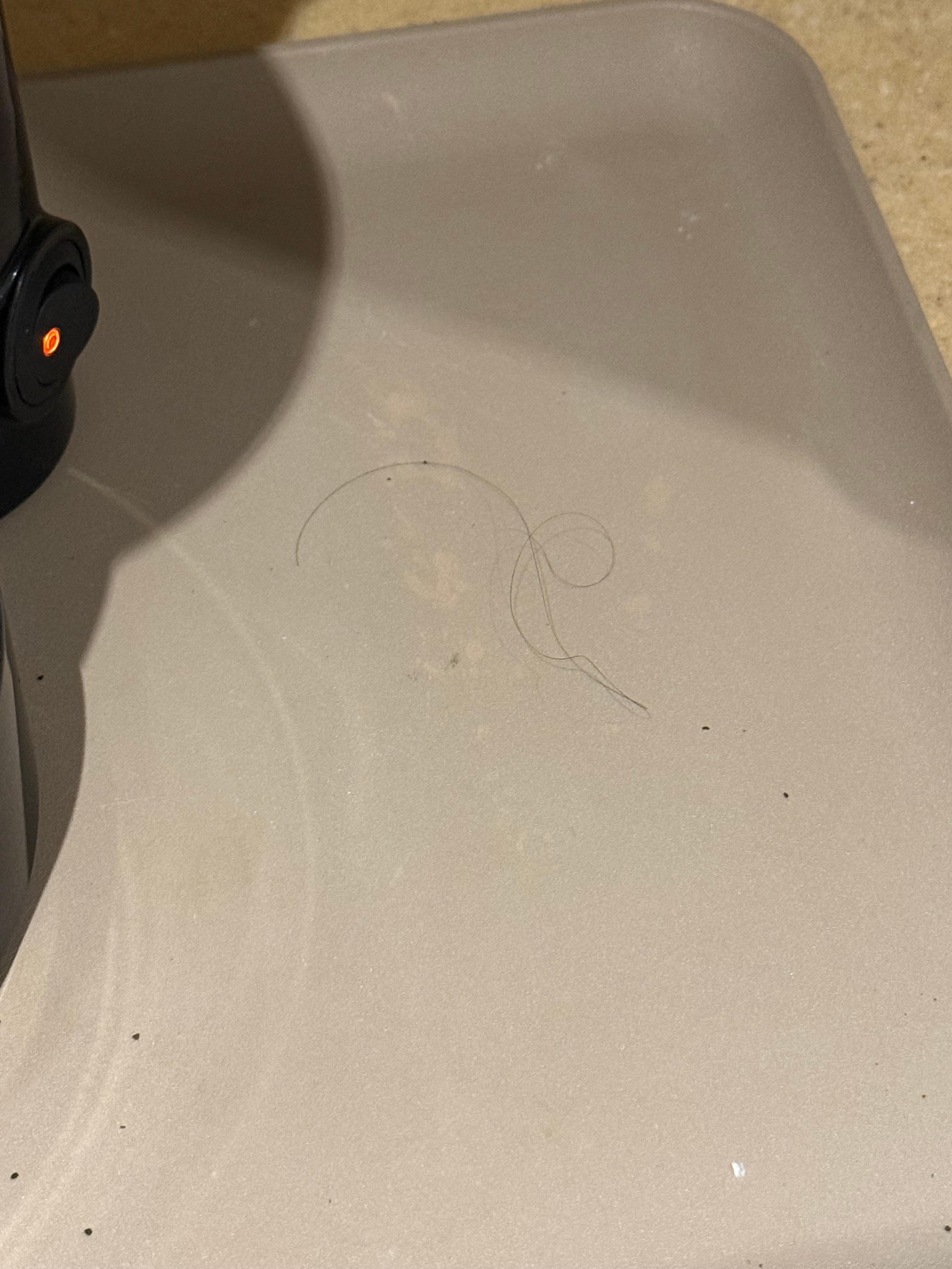 Hair in the coffe area / kitchen 