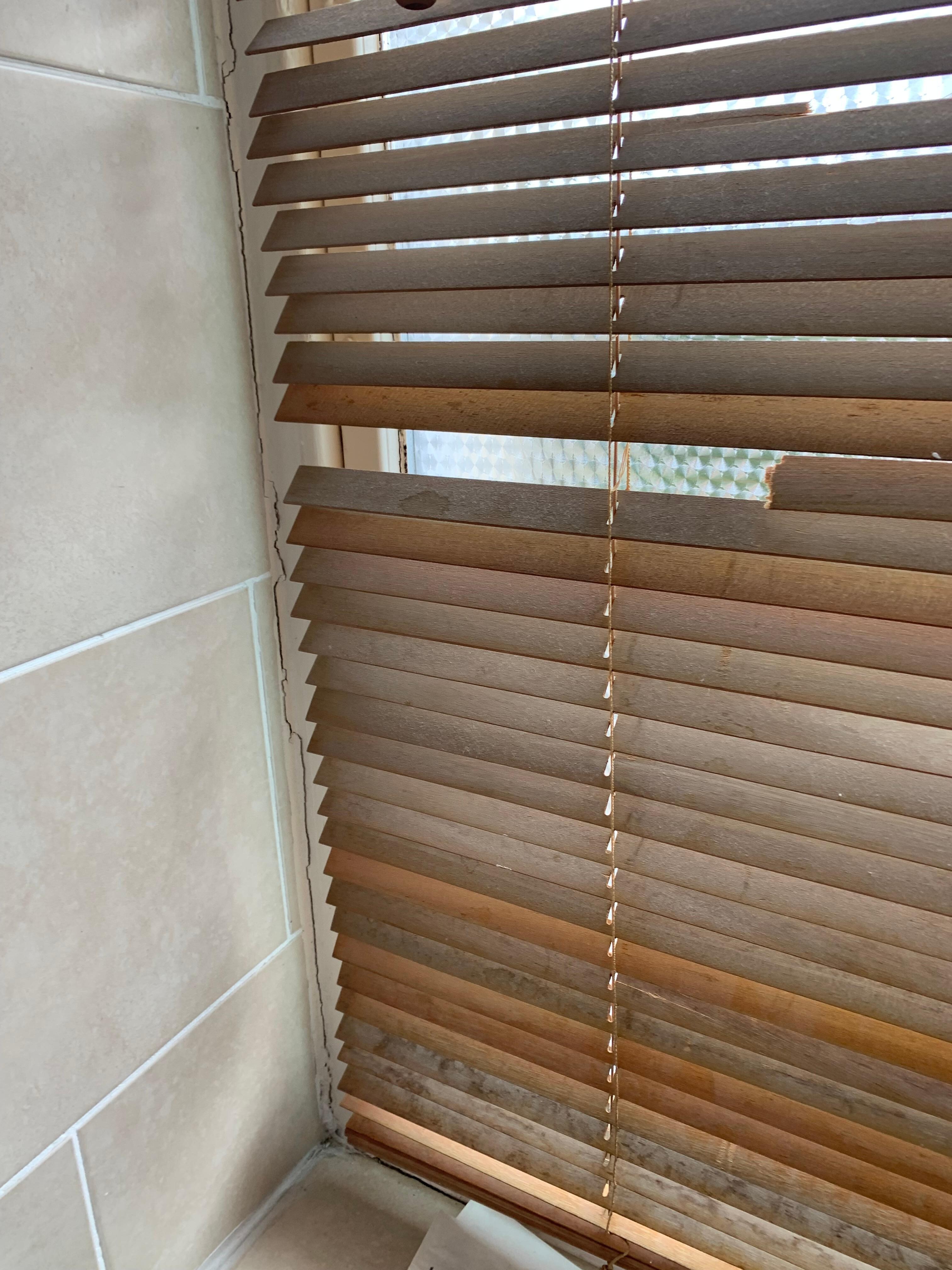 Broken bathroom blind
