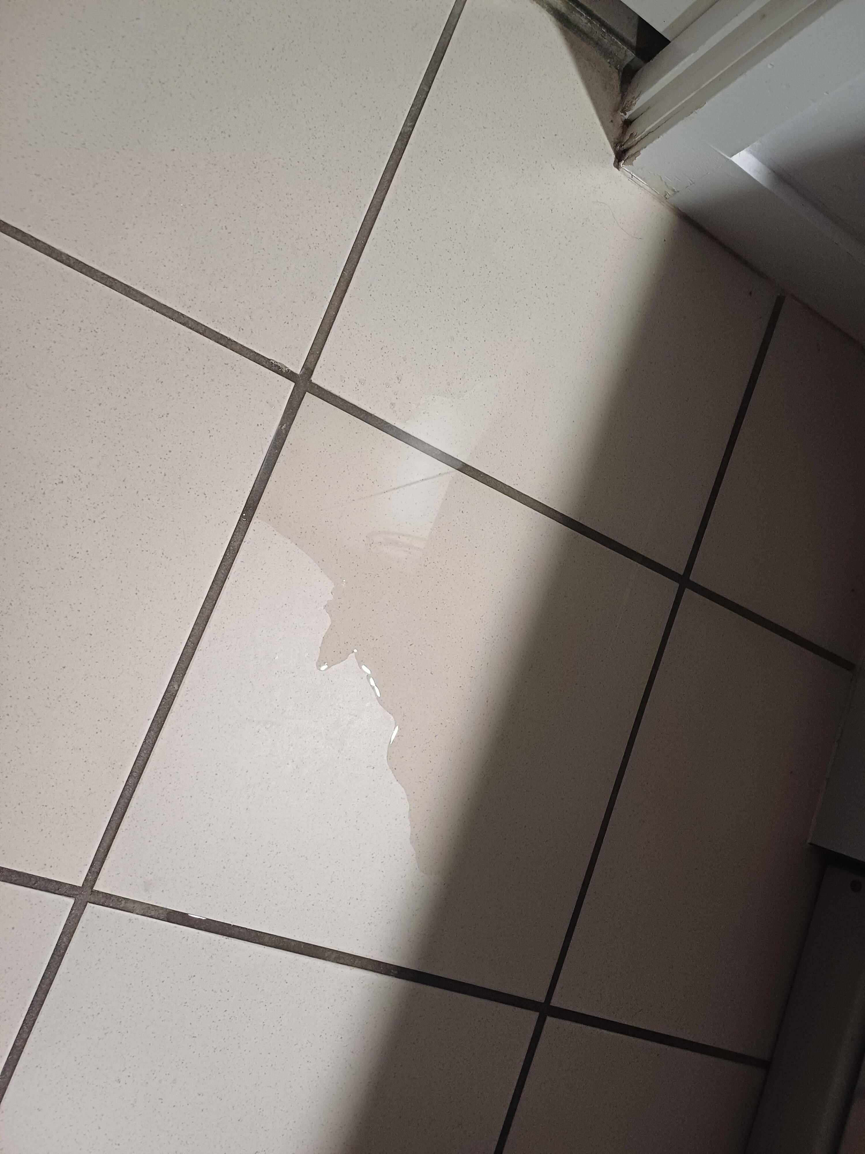 dishwasher leaking onto kitchen floor