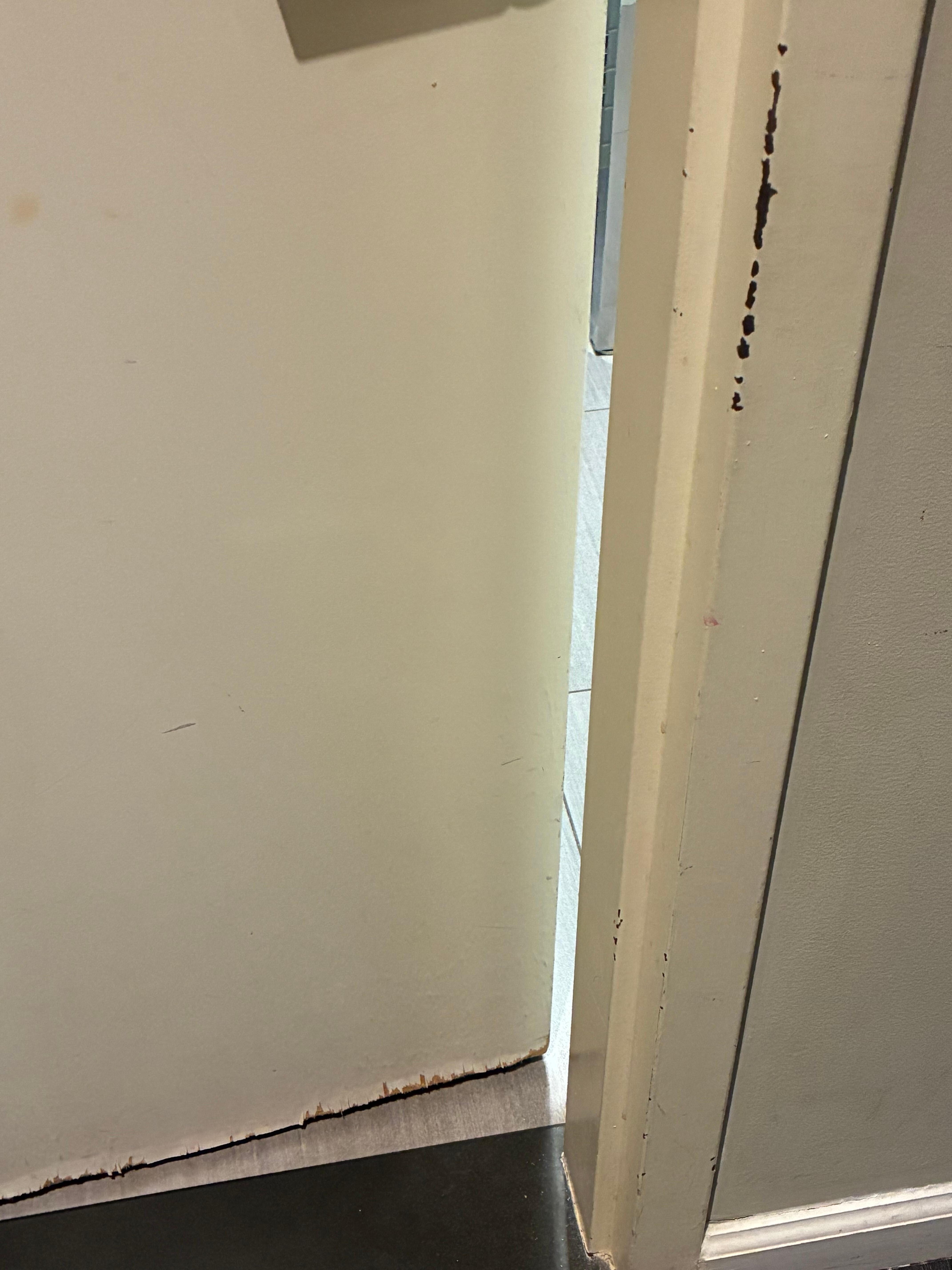 Water warped bathroom door