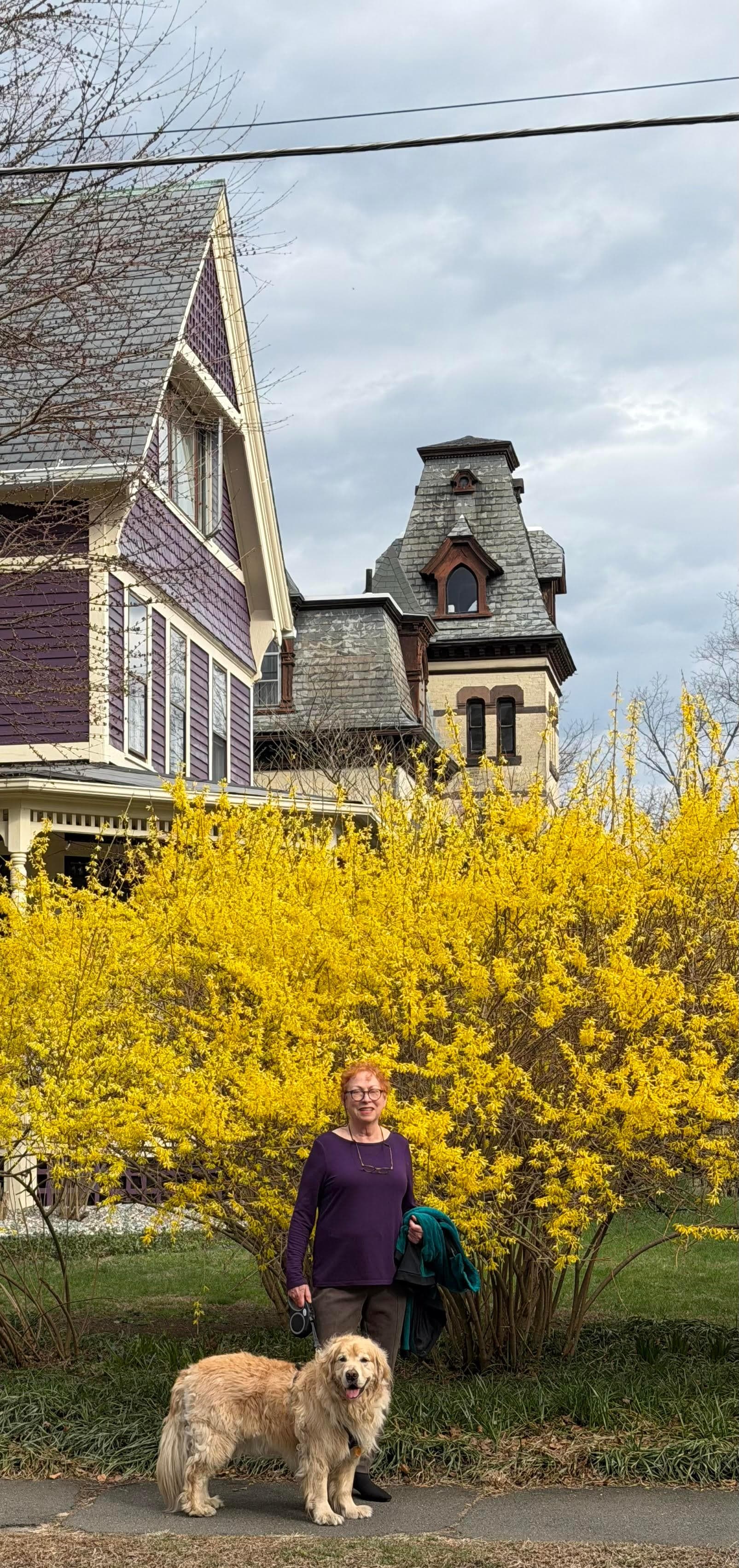 A morning walk near The Ellery 