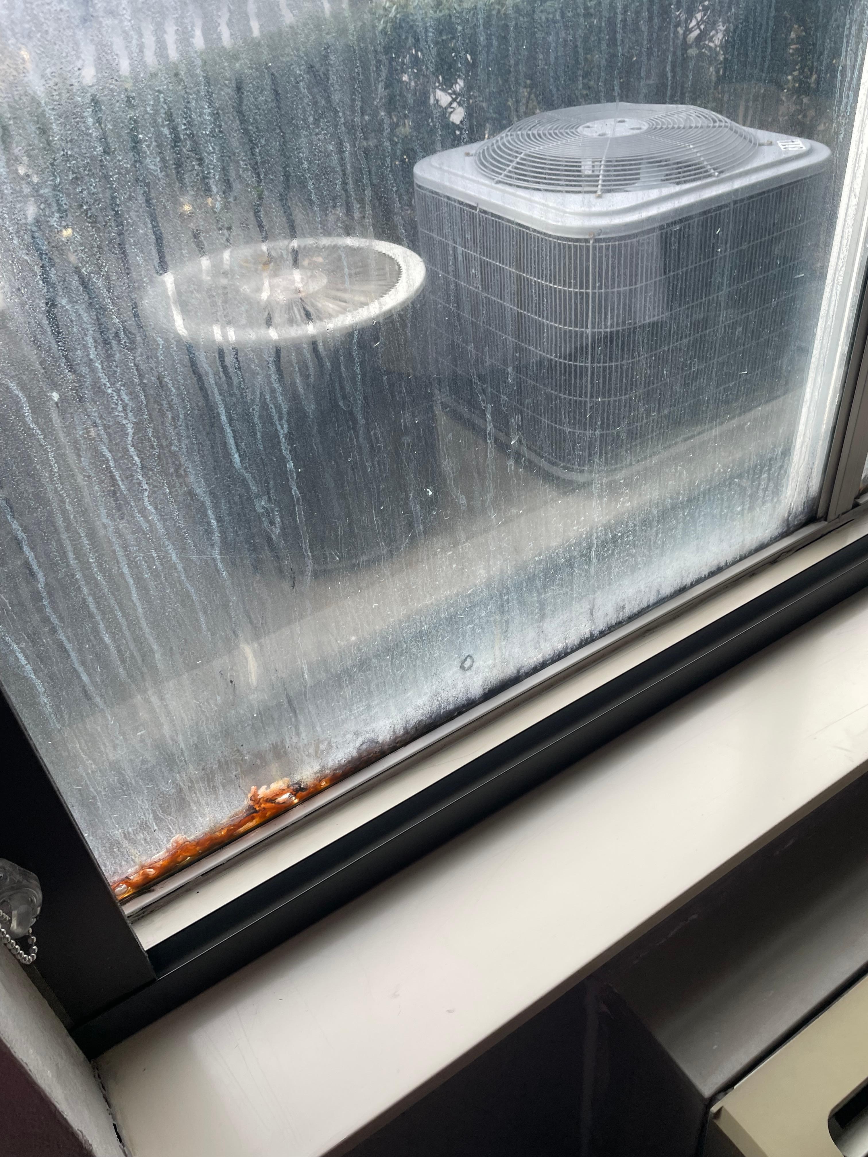 Window to the outside 