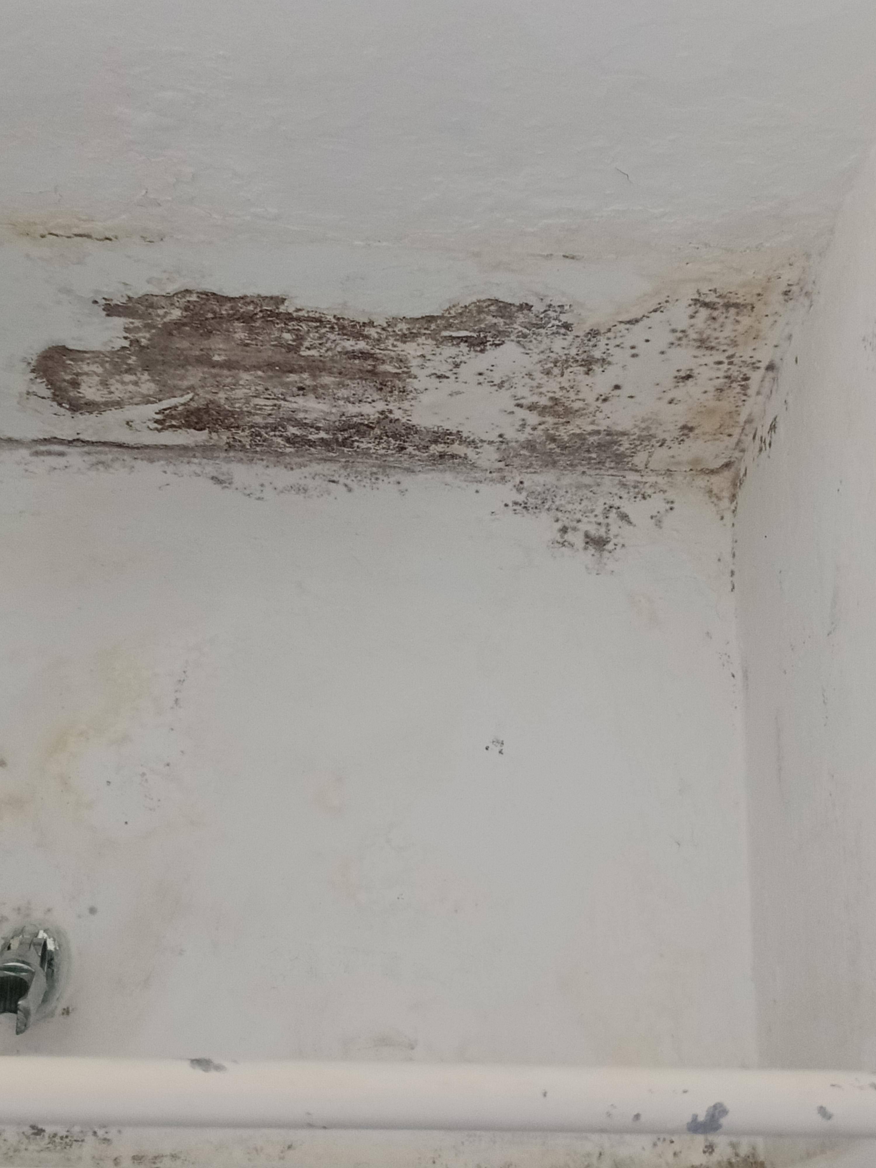 Shower with mould above 