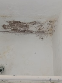 Shower with mould above