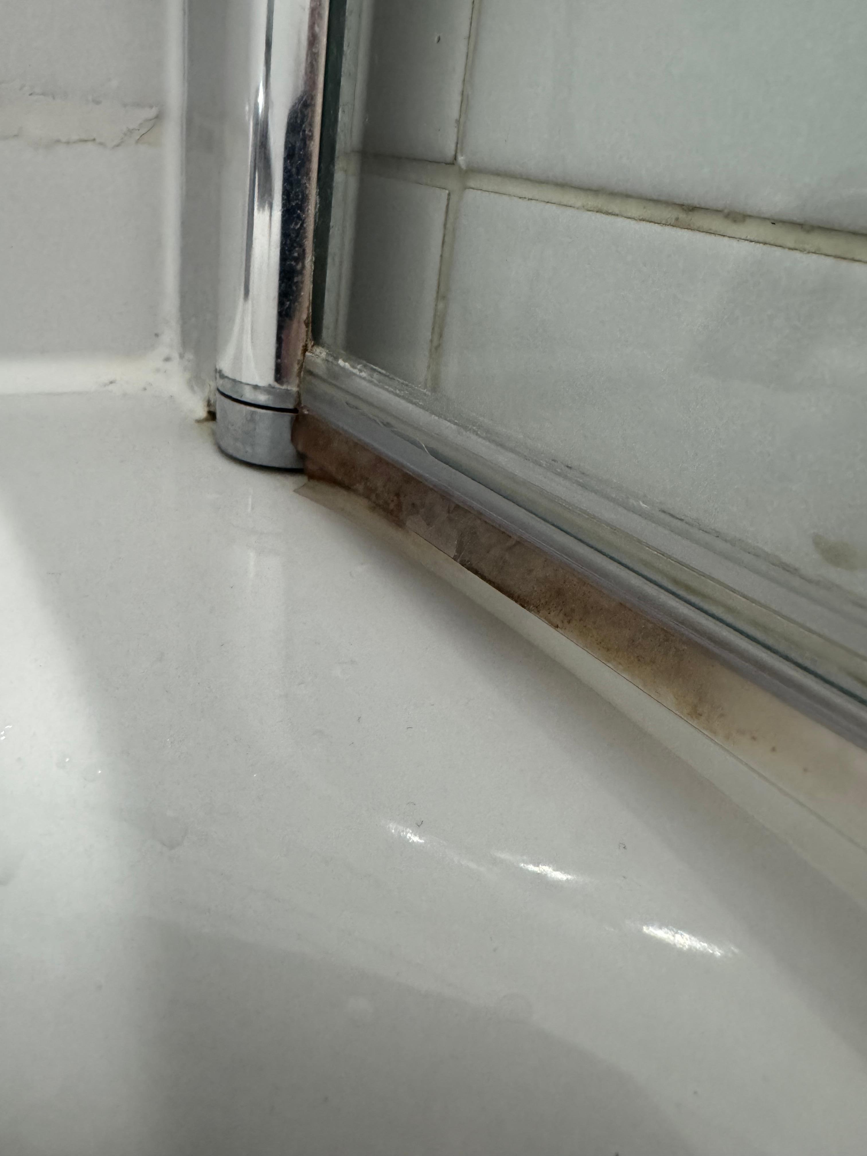 Mould in the Bathroom