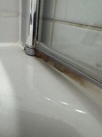 Mould in the Bathroom