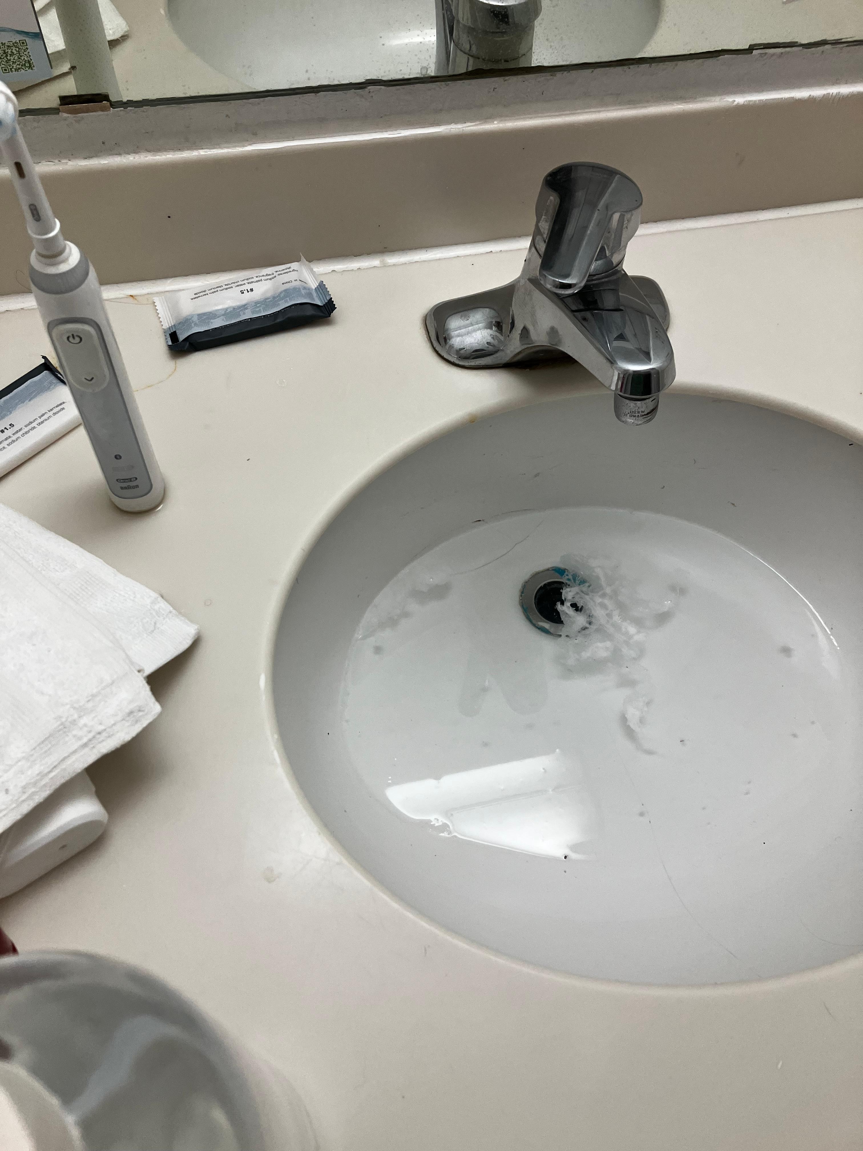 Sink would not drain for hours!