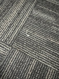 Toe nail clippings from someone who previous stayed